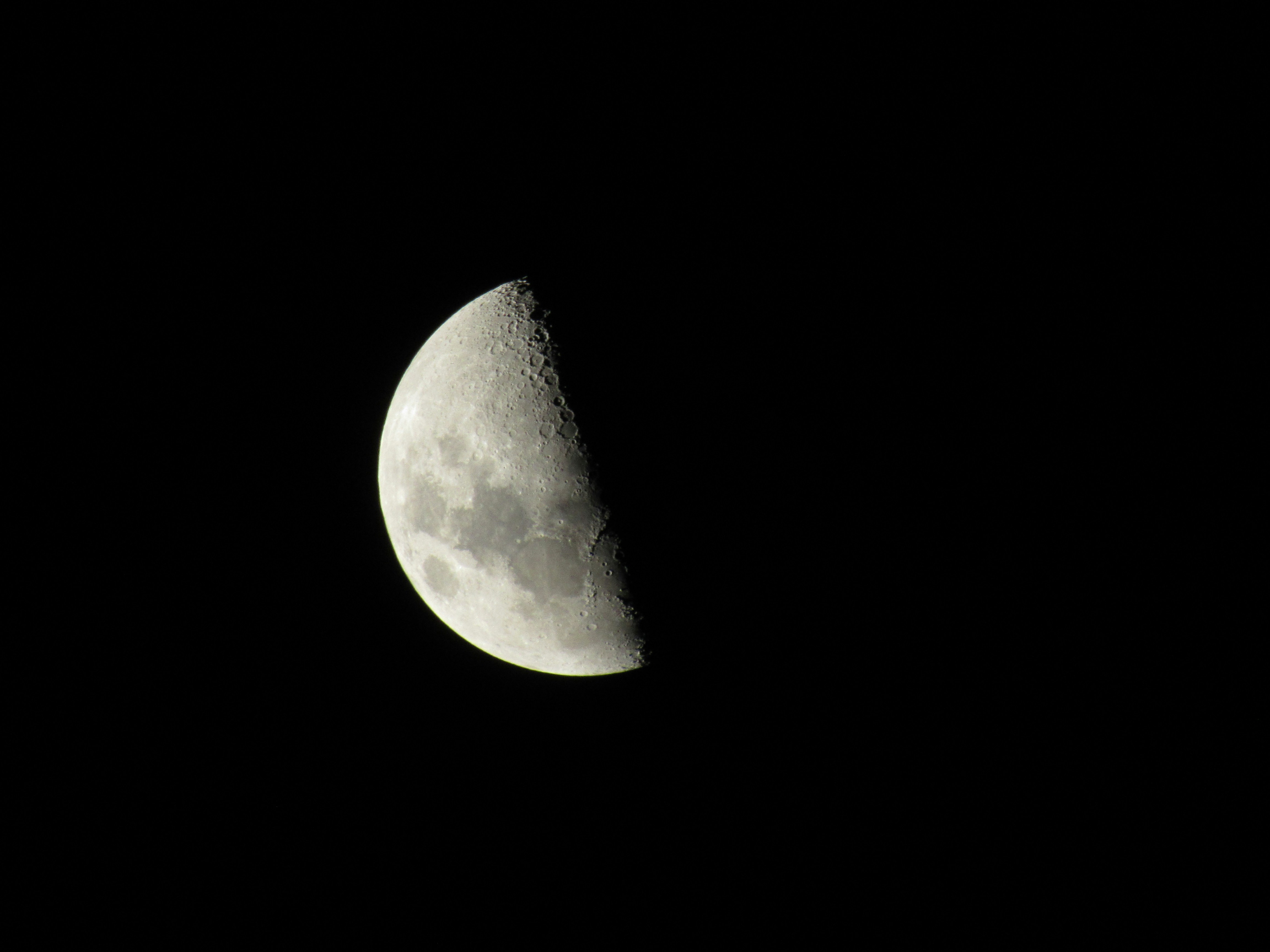 Half moon illuminated against a black night sky.