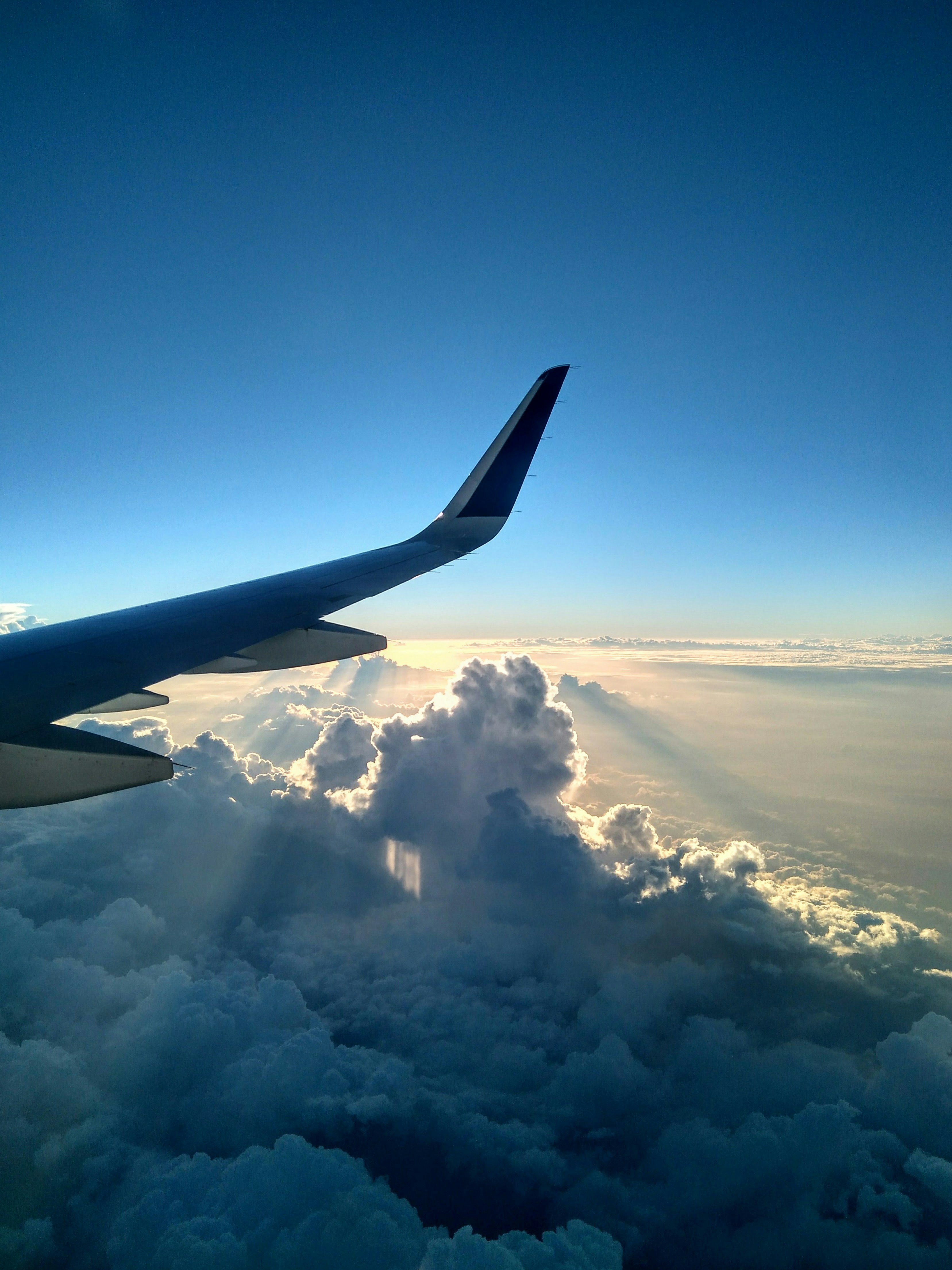 Soaring Above the Morning Clouds