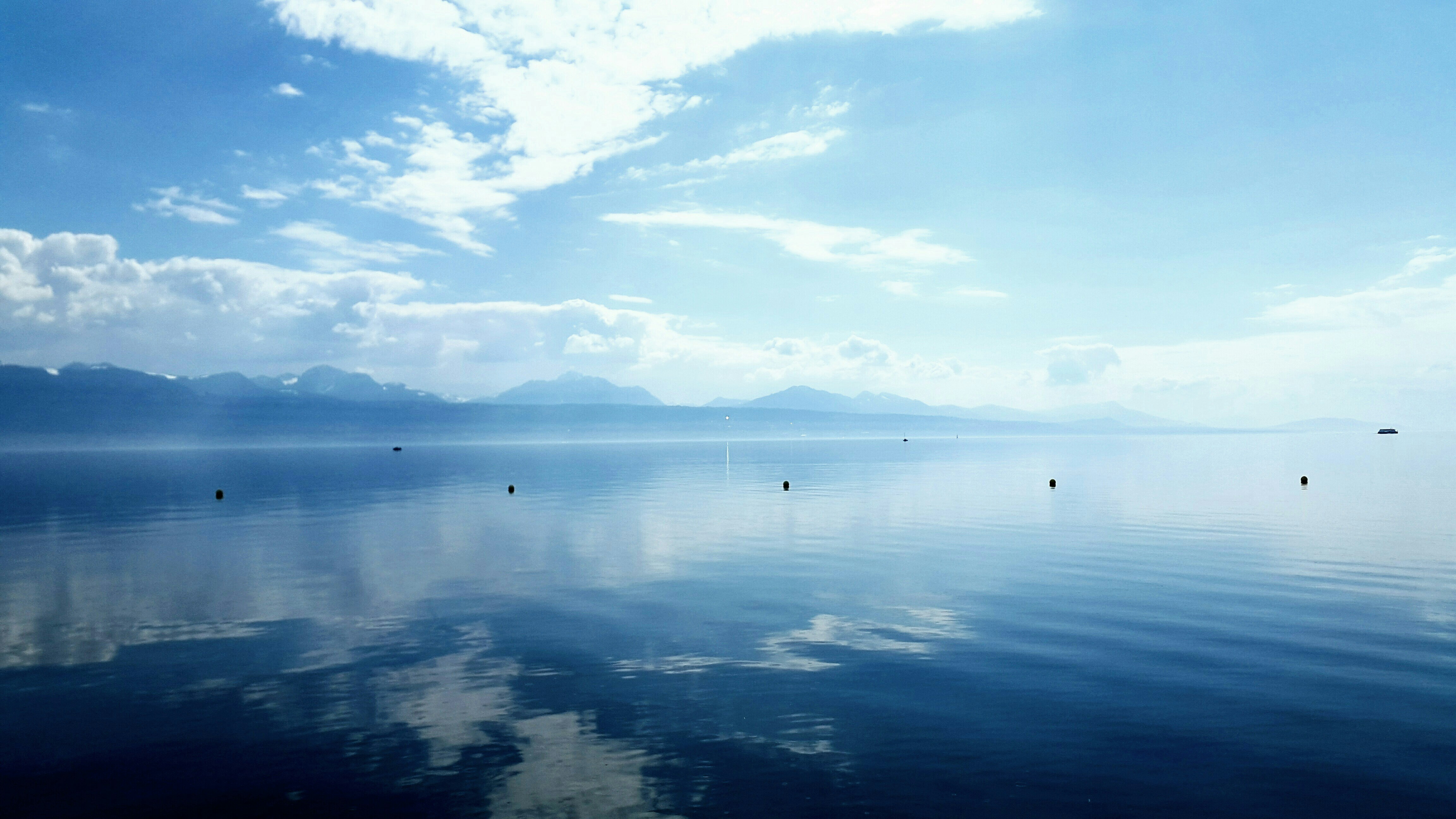 David Moy de Vitry (@davidmoy) | Unsplash Photo Community