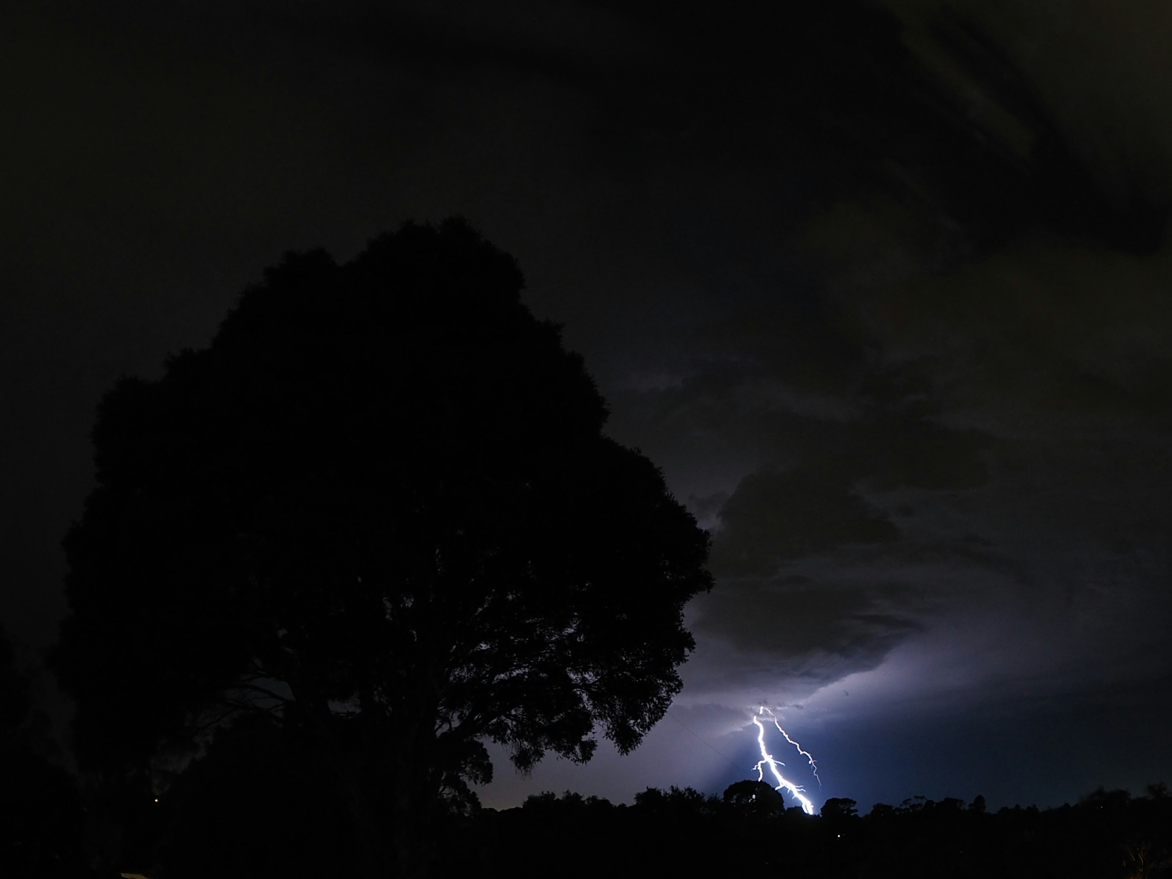 Lightning bolt illuminates a dark, cloudy sky beside a silhouetted tree.