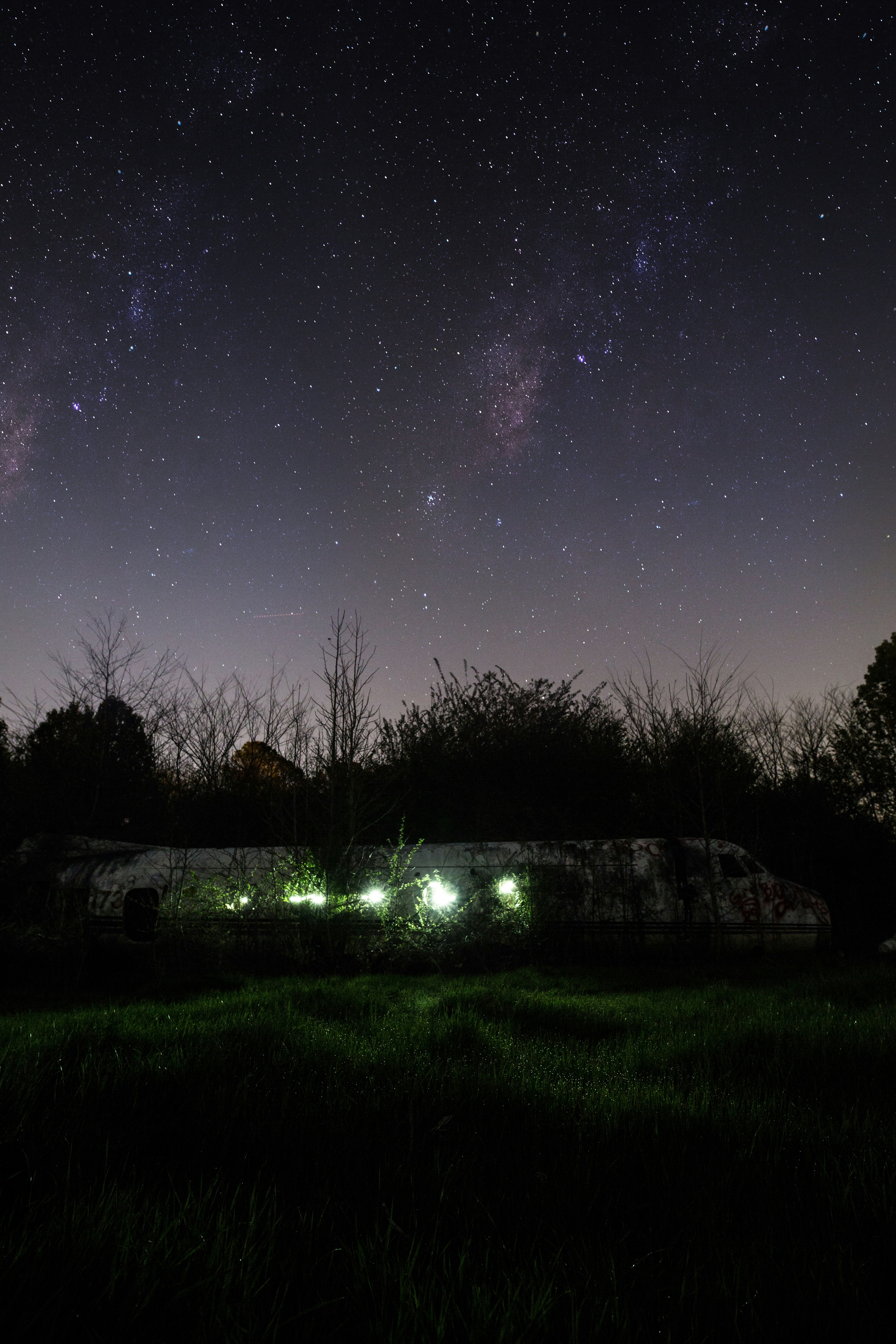 Grassy Field At Night
