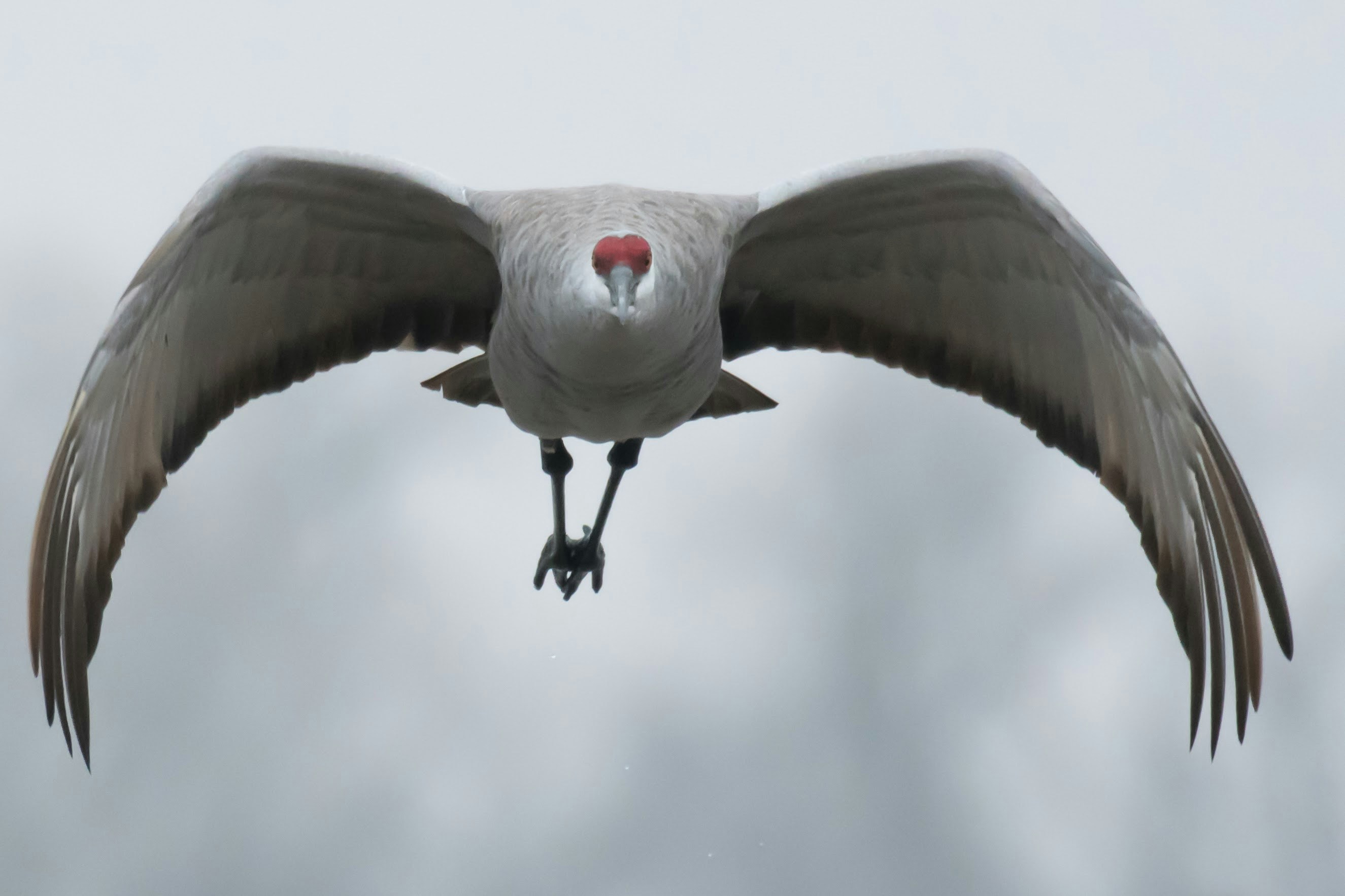 Keith Lazarus (@klazarus) | Unsplashフォトコミュニティ