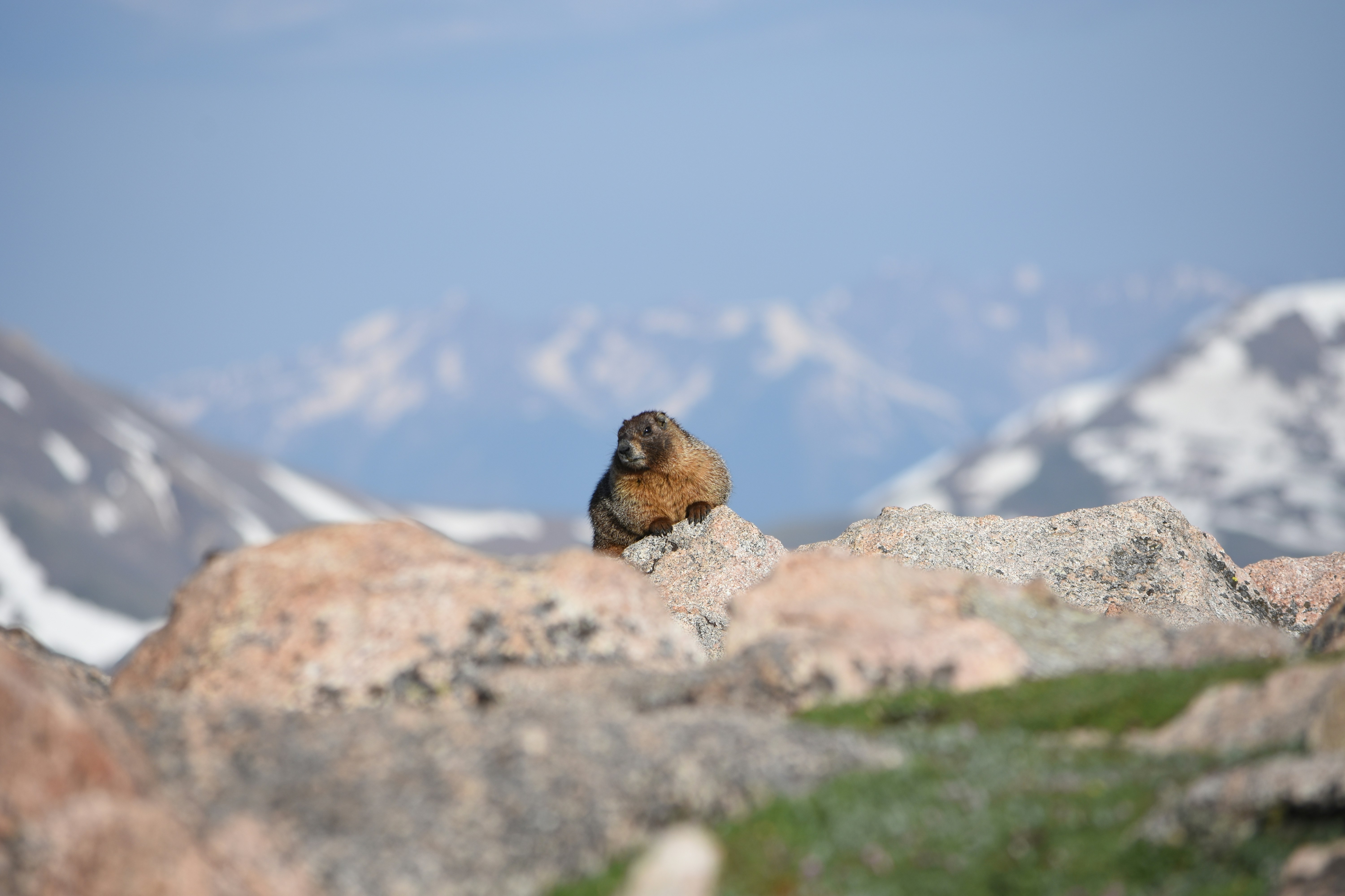 Keith Lazarus (@klazarus) | Unsplashフォトコミュニティ