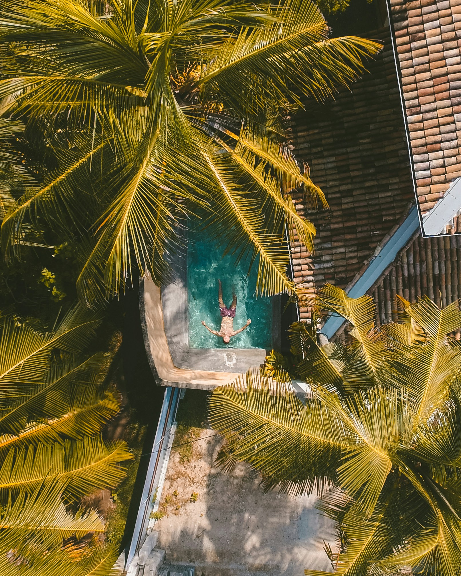 Drone photograph of a turquoise pool framed by palm fronds and a thatched roof, with a swimmer visible in the water.