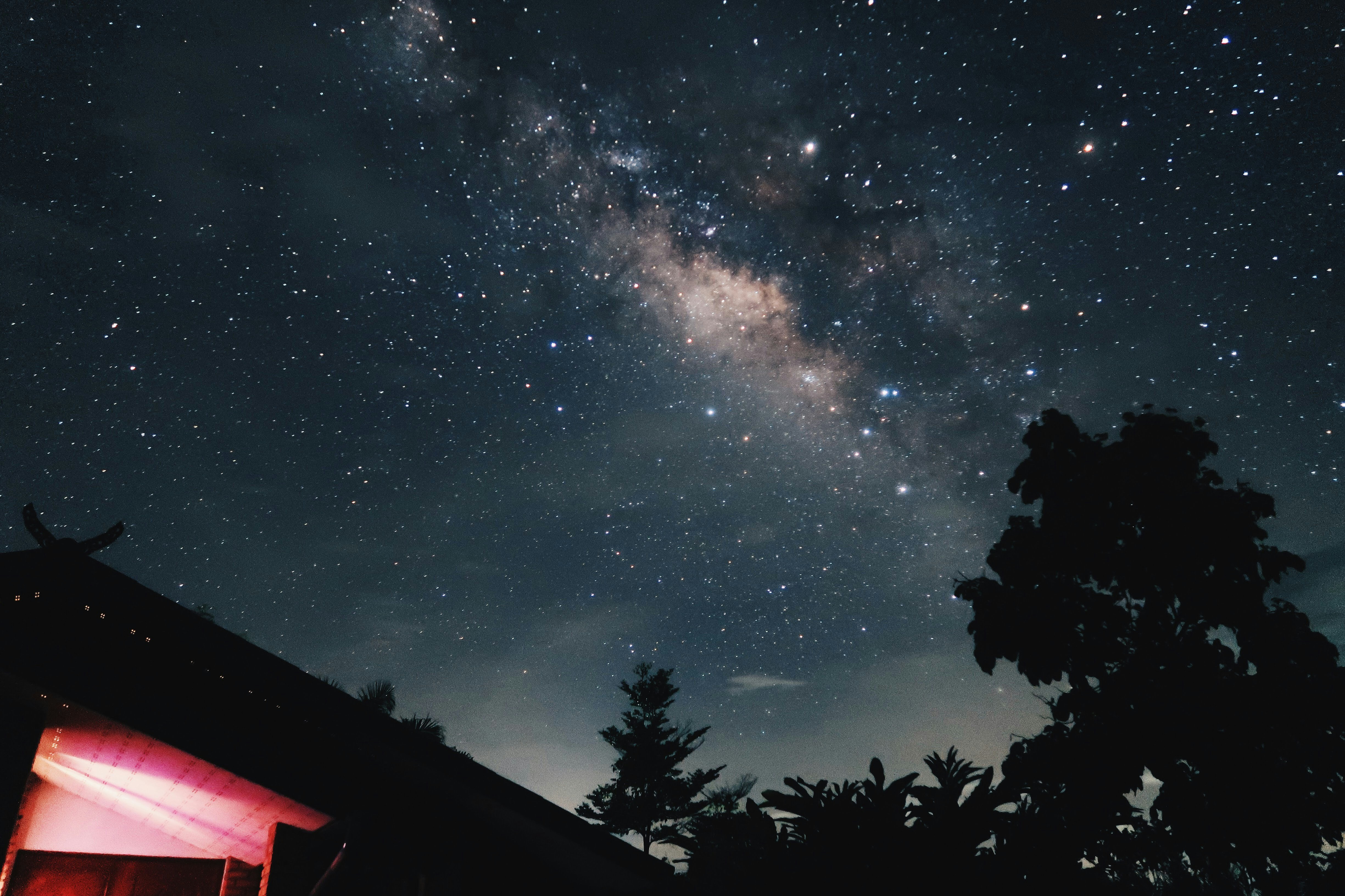 Starry night sky with the Milky Way visible above silhouetted trees and a roofline.