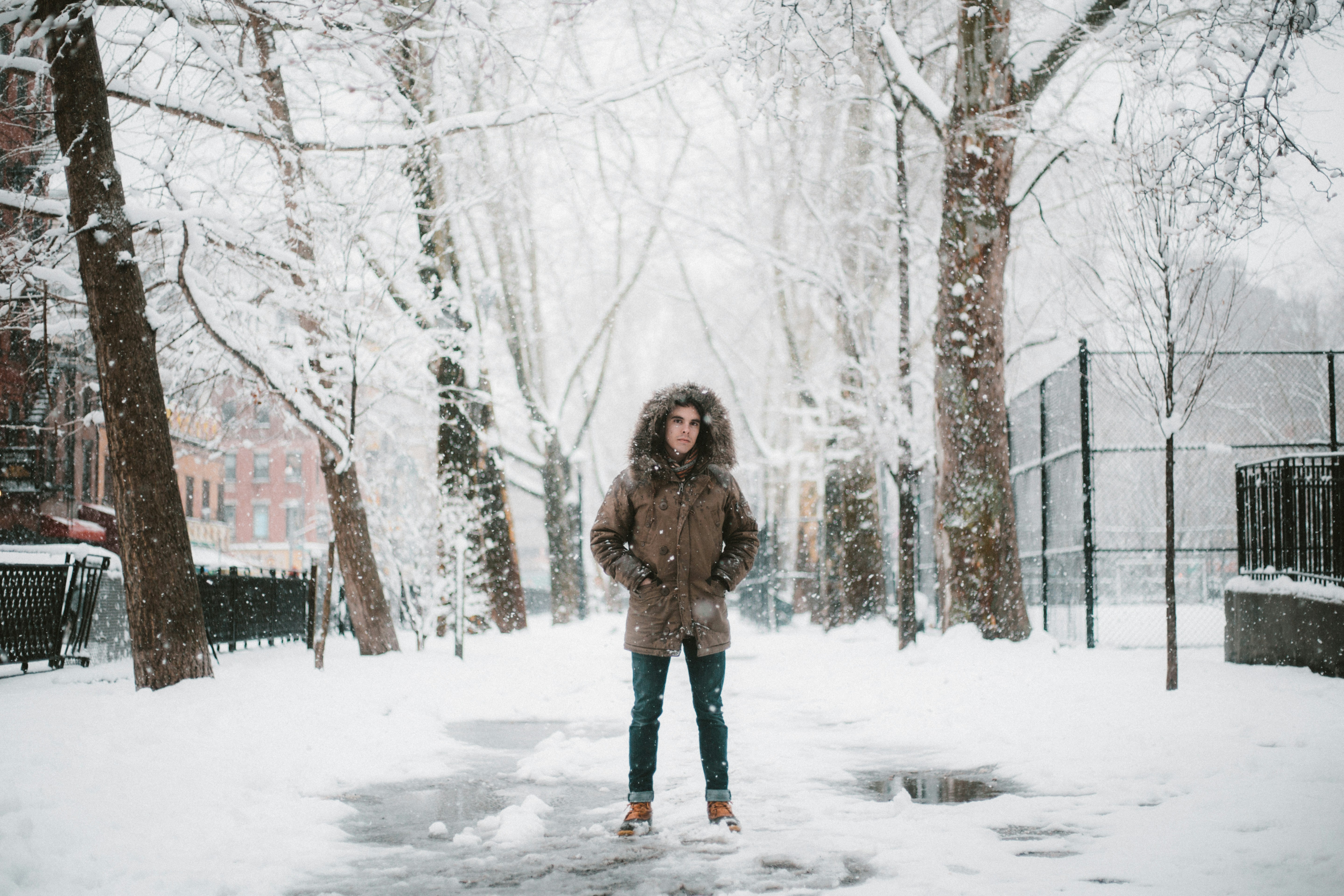 Centered in a Snow-Blanketed Park: A Quiet Winter Portrait