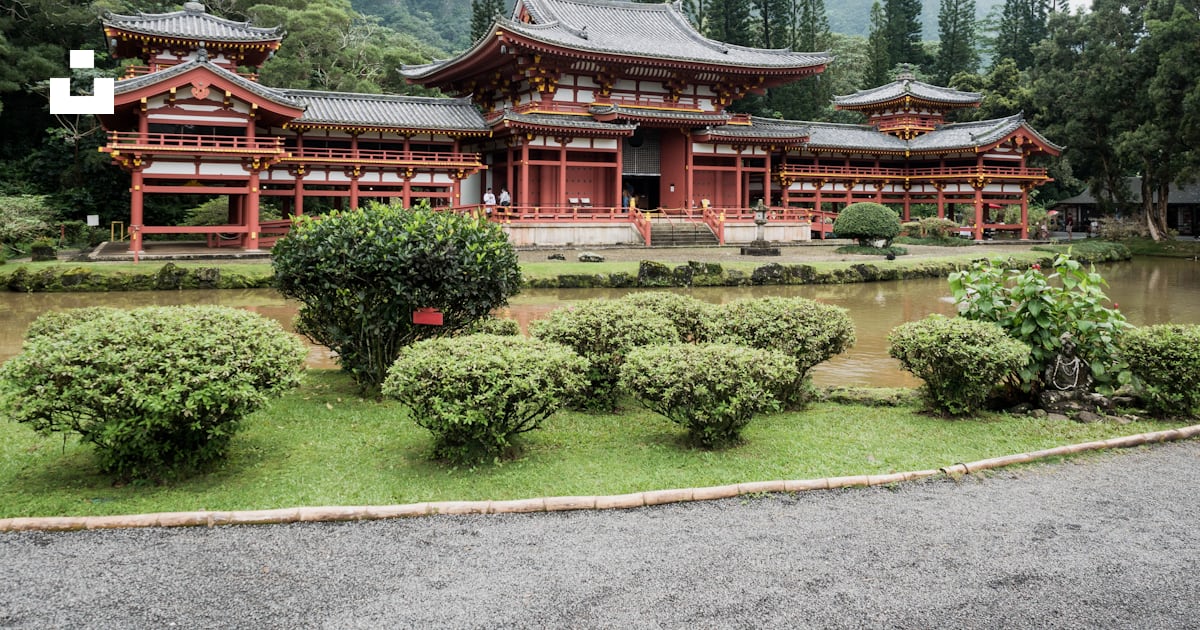 낮에는 나무 사이에 있는 갈색과 검은색 사원 사진 Unsplash의 무료 숲 이미지