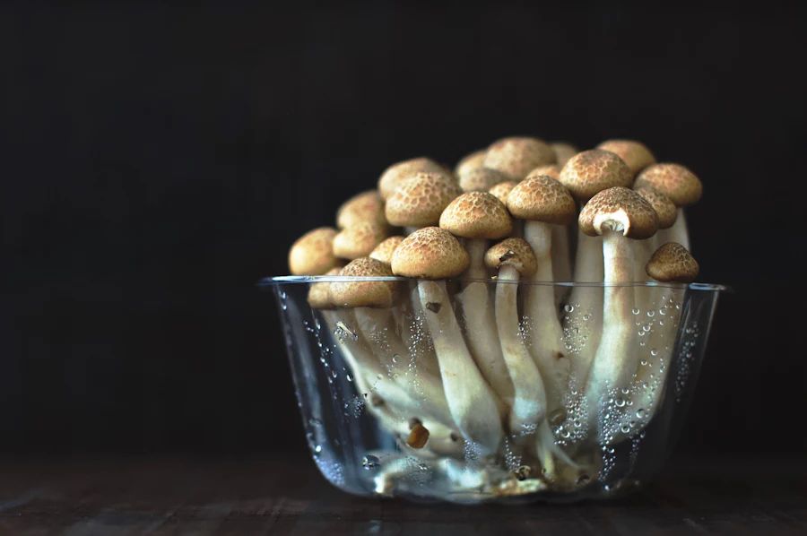 A cluster of brown-capped mushrooms gathered in a clear glass bowl against a dark background. Moist stems and condensation on the bowl add a fresh, organic feel.