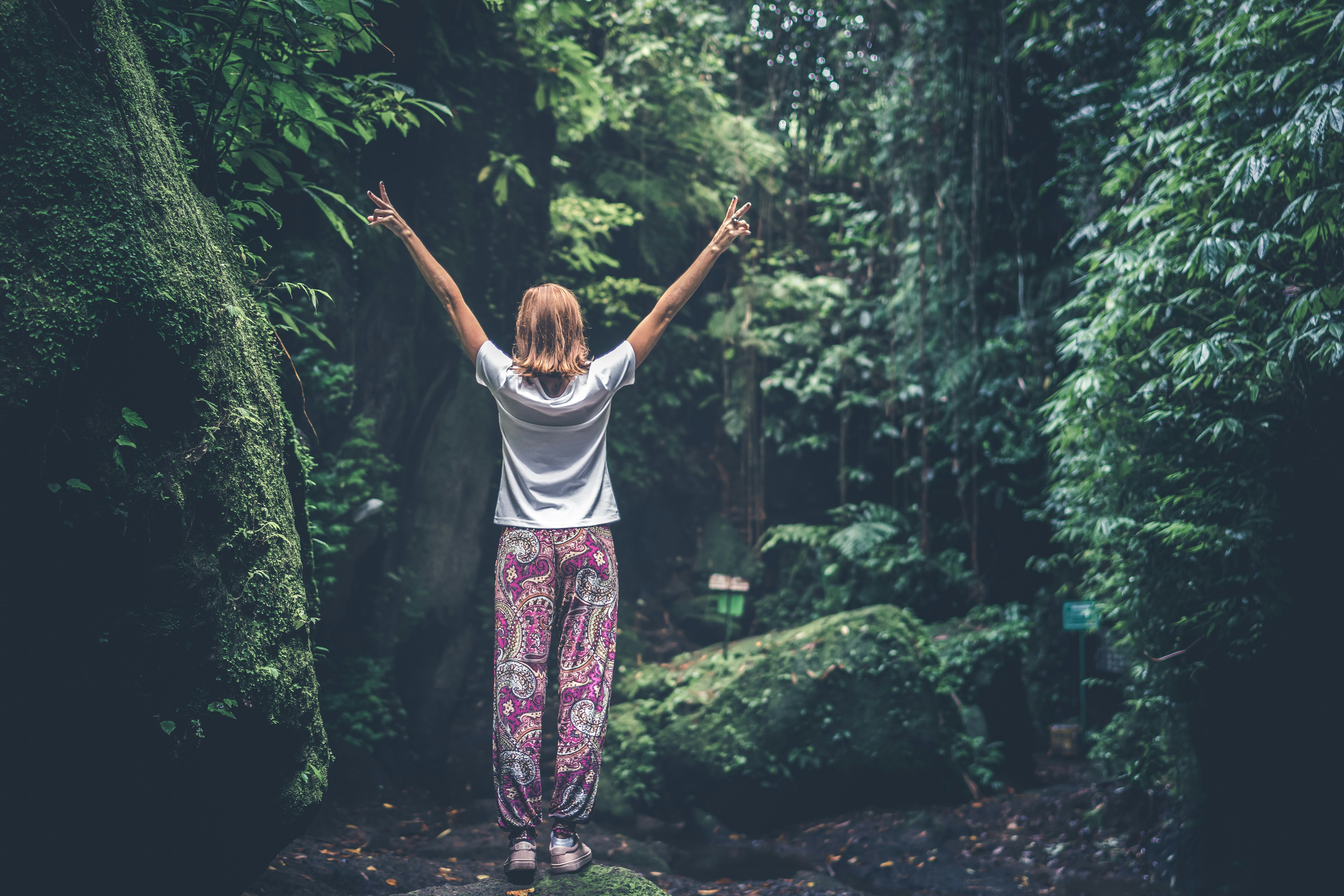Woman standing on rock making peace sign in forest photo – Free Bali ...