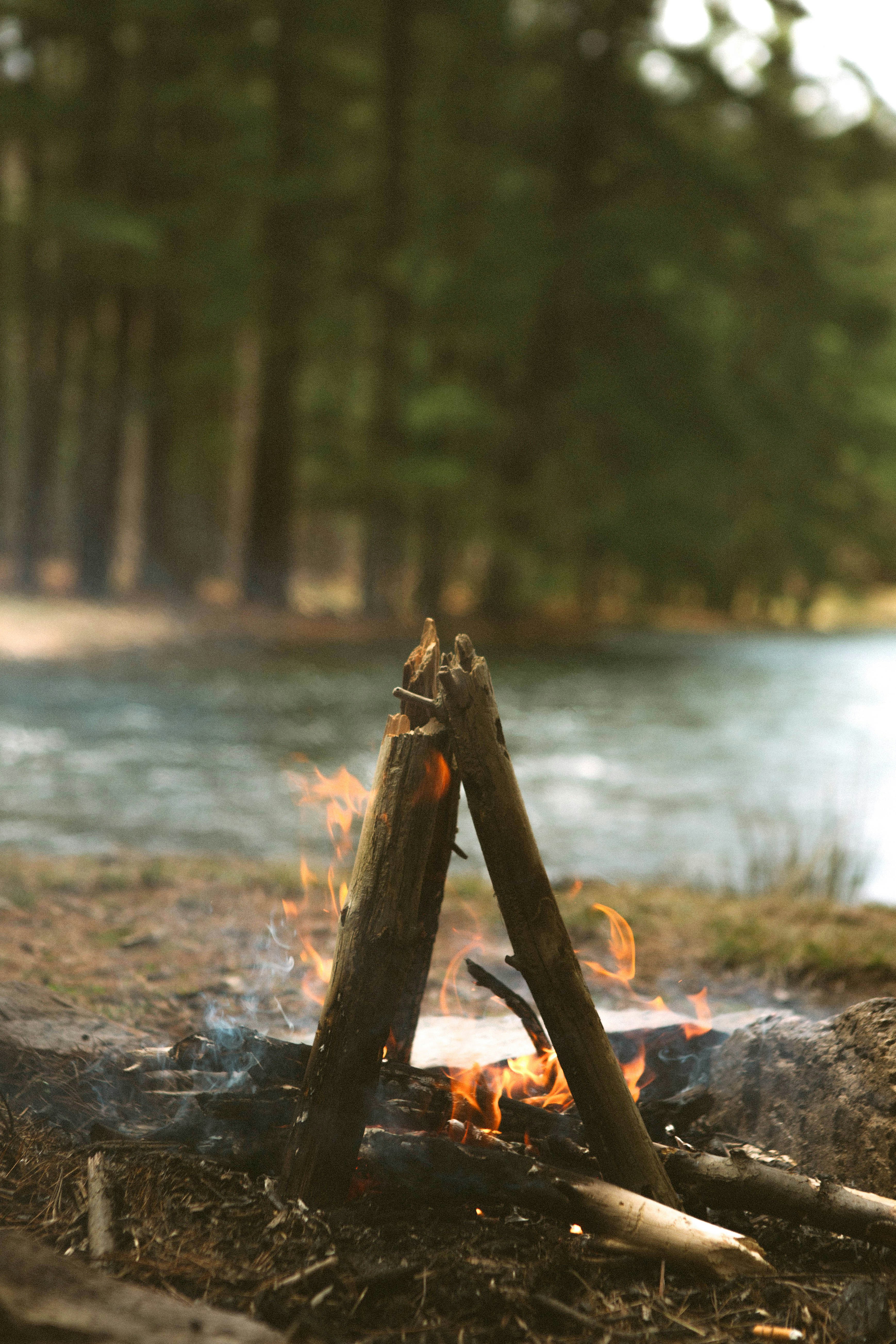 Bonfire burning near body of water in a forest photo – Free Fire Image ...