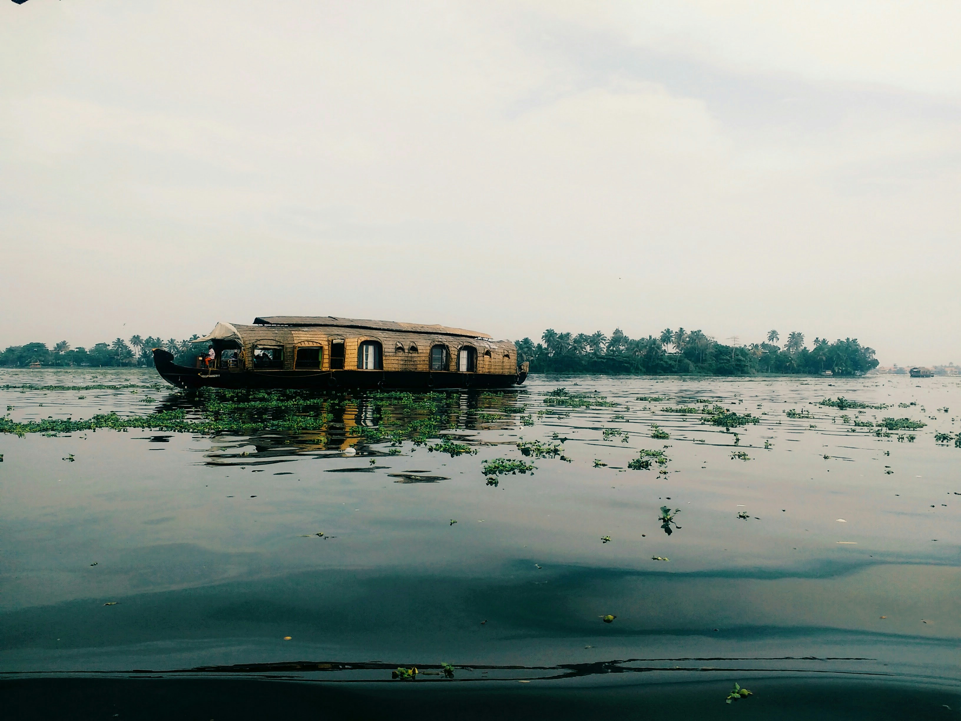 Traditional houseboat gliding through calm waters, surrounded by lush greenery and floating vegetation. The serene landscape invites reflection.
