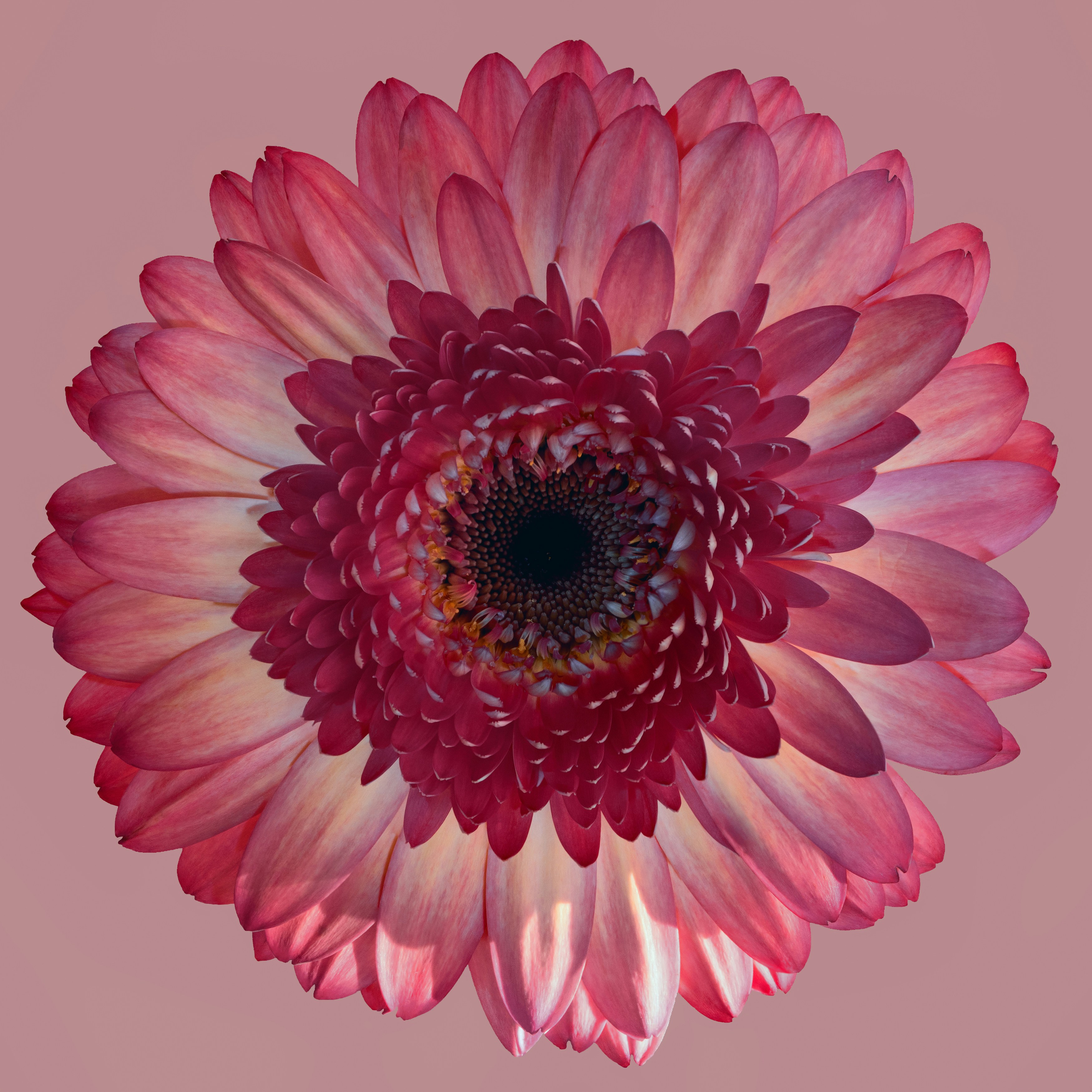 Sample photo from Sony Alpha 7