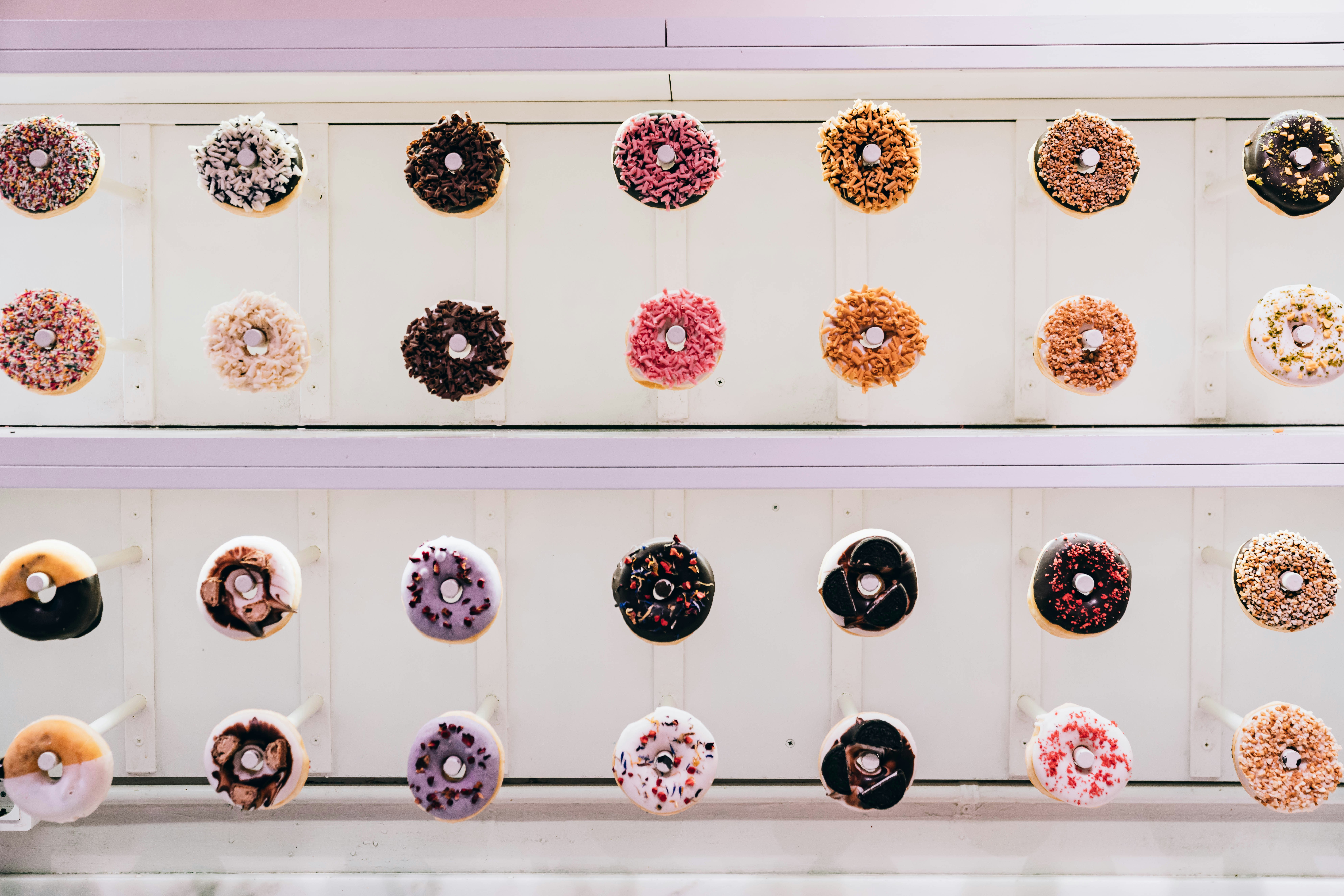 Colorful assortment of donuts displayed on a wall, showcasing various toppings and flavors. Perfect for dessert enthusiasts.