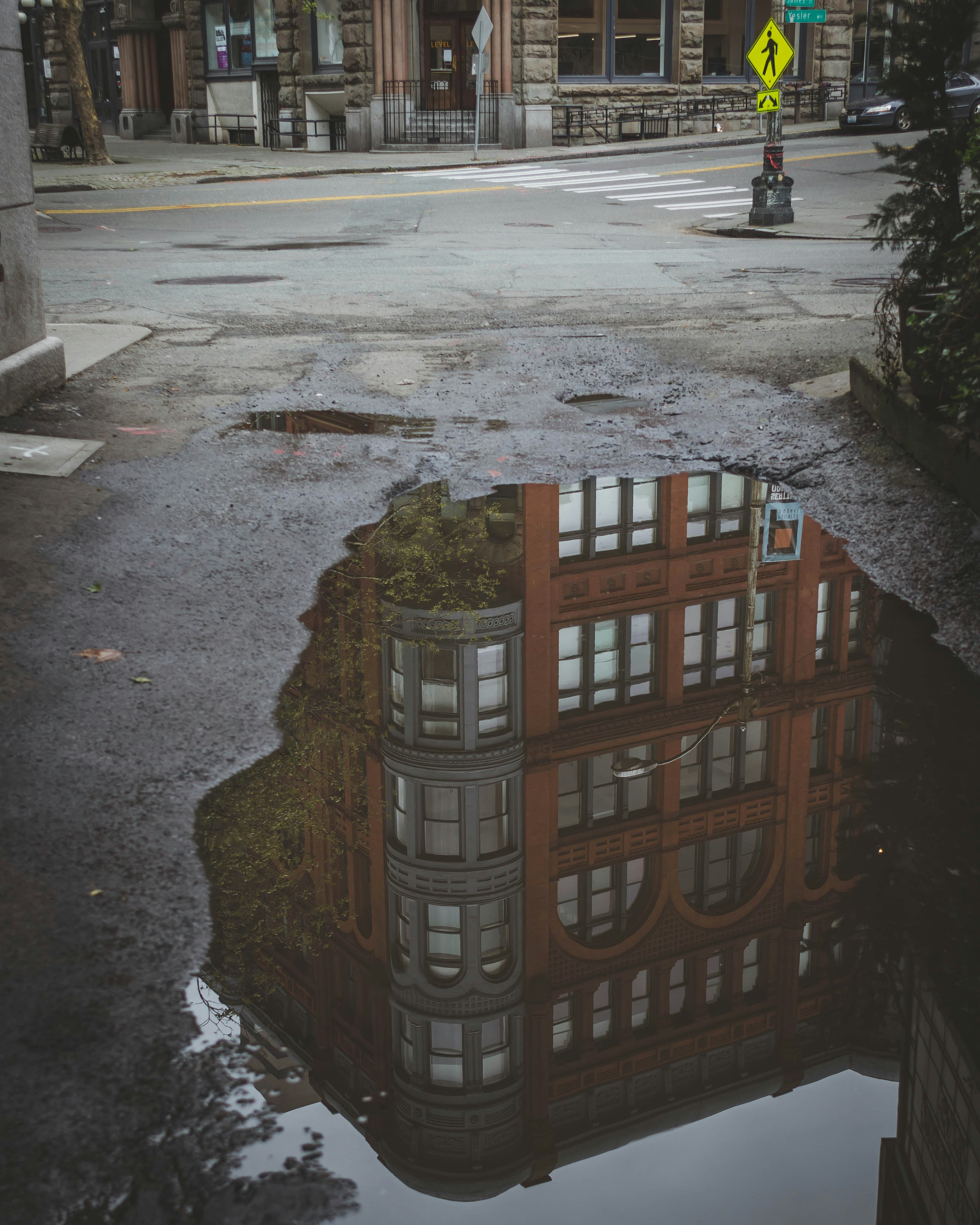 As a complete stranger to the city of Seattle, I was ominously strolling the back streets, when I found this reflection in my gaze. It was my first look down in a while and purely to avoid the large puddle, I scoped out my next steps. Then I stopped in my tracks. I swung my camera off my shoulder as if it were a backpack hitting the floor when you first got home from school. I realised that each day, we cross so many negative circumstances, but each having such a beauty to it, that we only find if we look deeper. | brown concrete building reflects on water