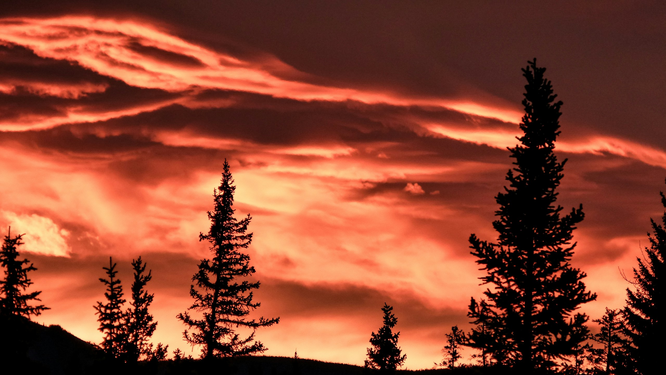 Silhouetted trees against a vibrant sunset sky filled with swirling clouds and warm hues.