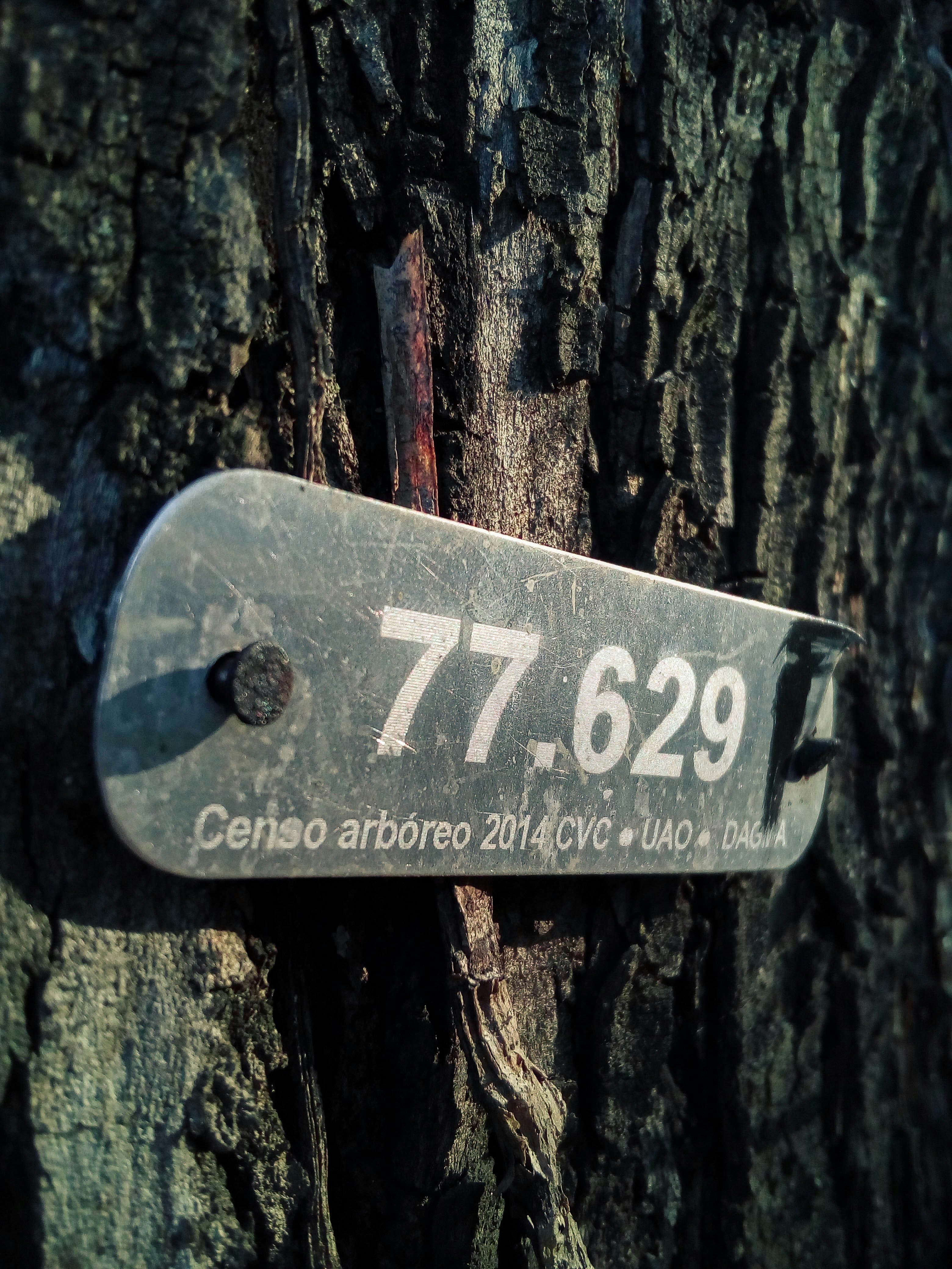 Nature's Catalog: The Story of a Tree Tag