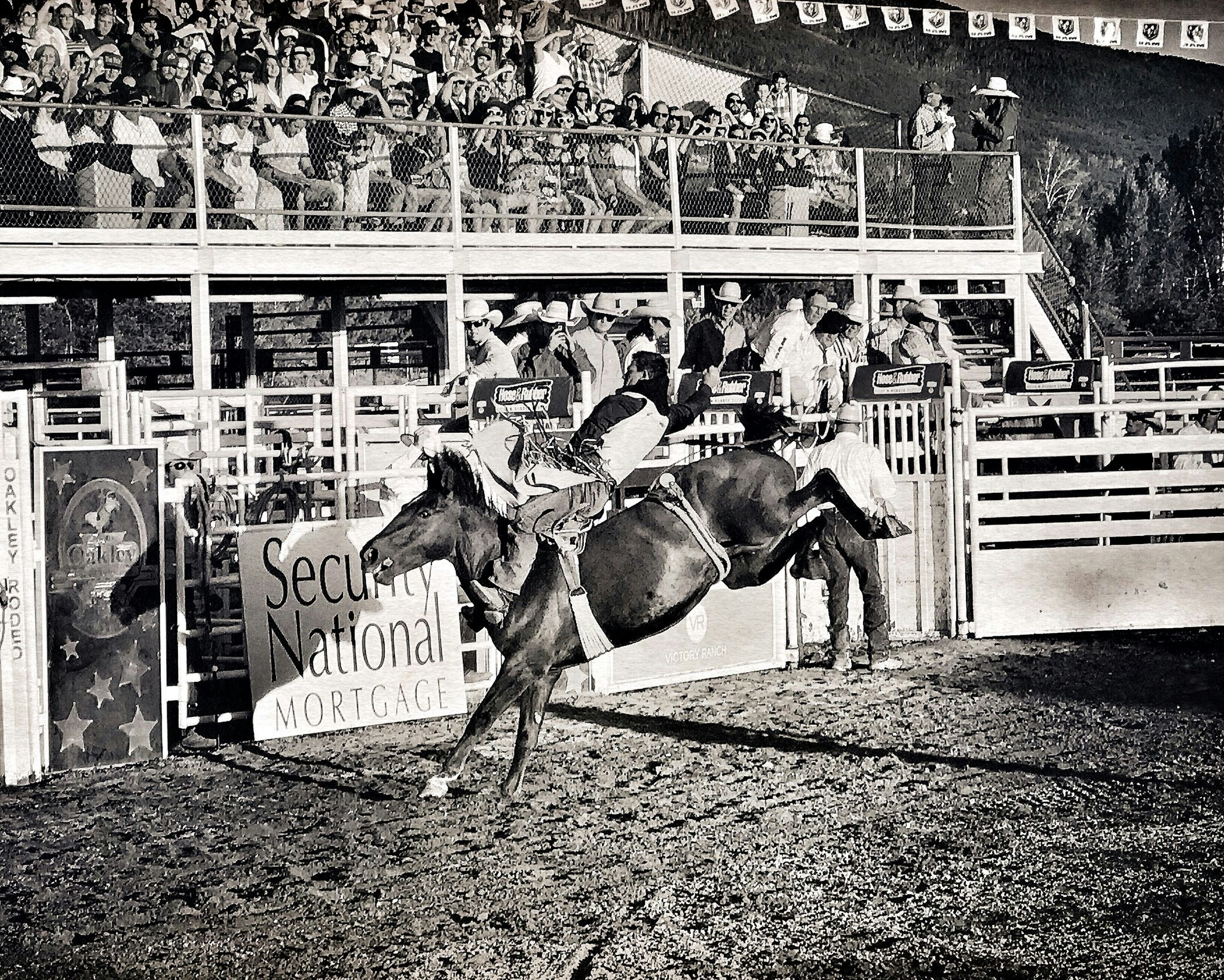 30k+ Rodeo Pictures | Download Free Images on Unsplash