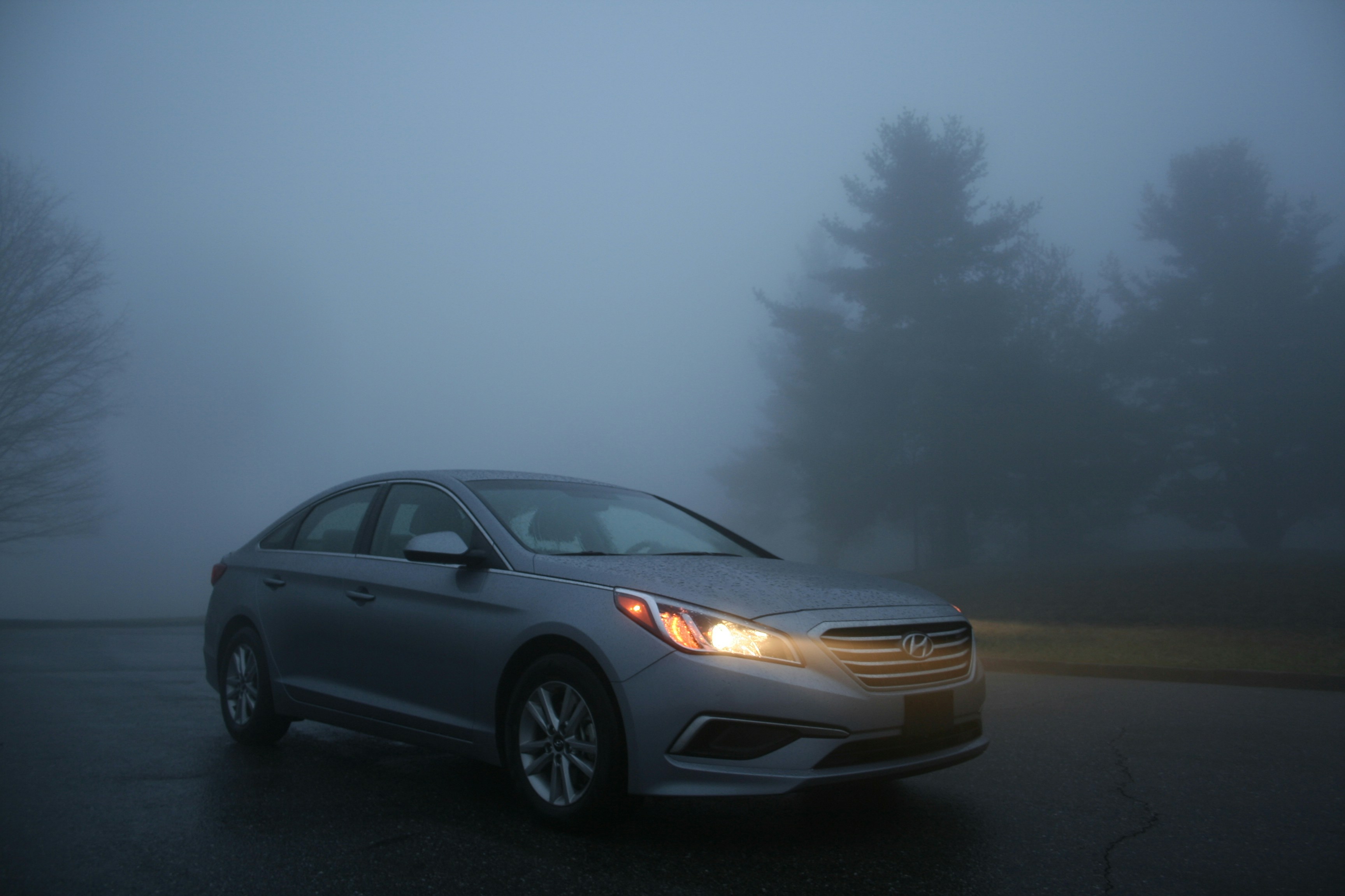Silver sedan with headlights on driving through dense fog, flanked by shadowy trees.