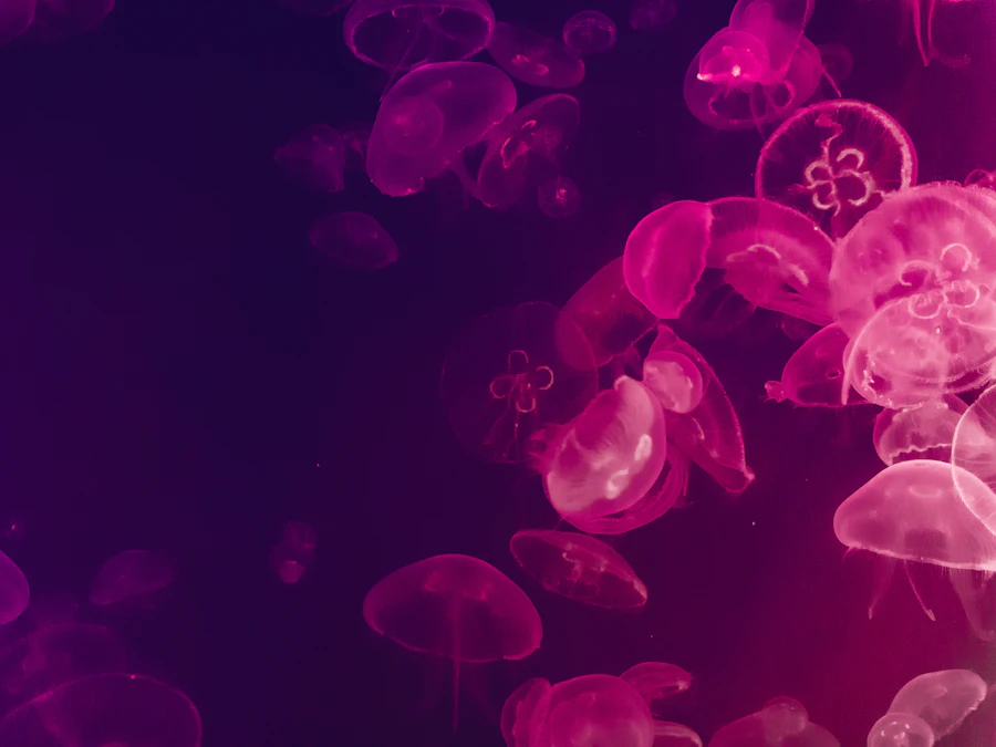 Cluster of glowing pink jellyfish drifting through dark water, with translucent bells and trailing tentacles. The scene has a vivid neon-purple aquarium glow.