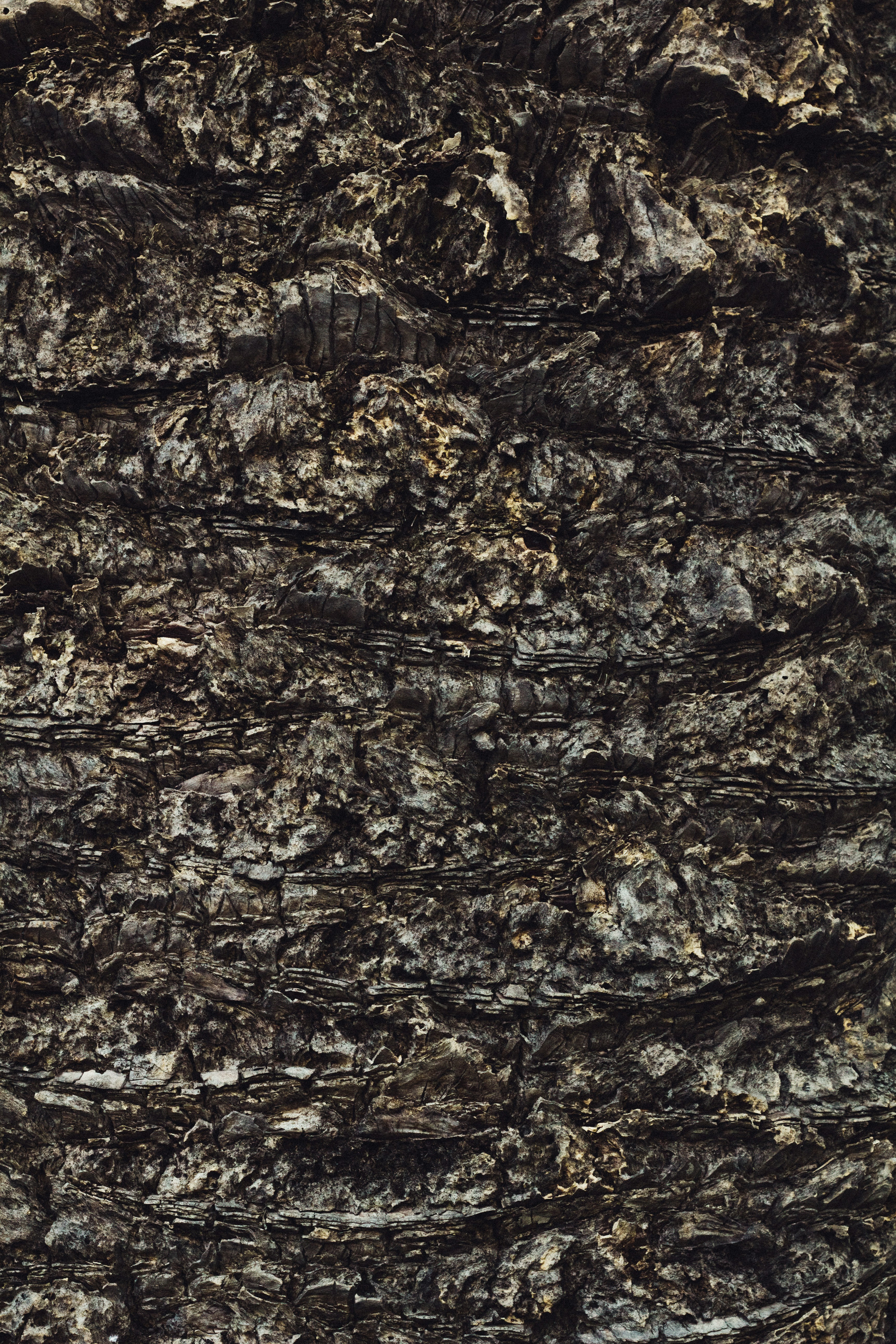 Rough Things Examples