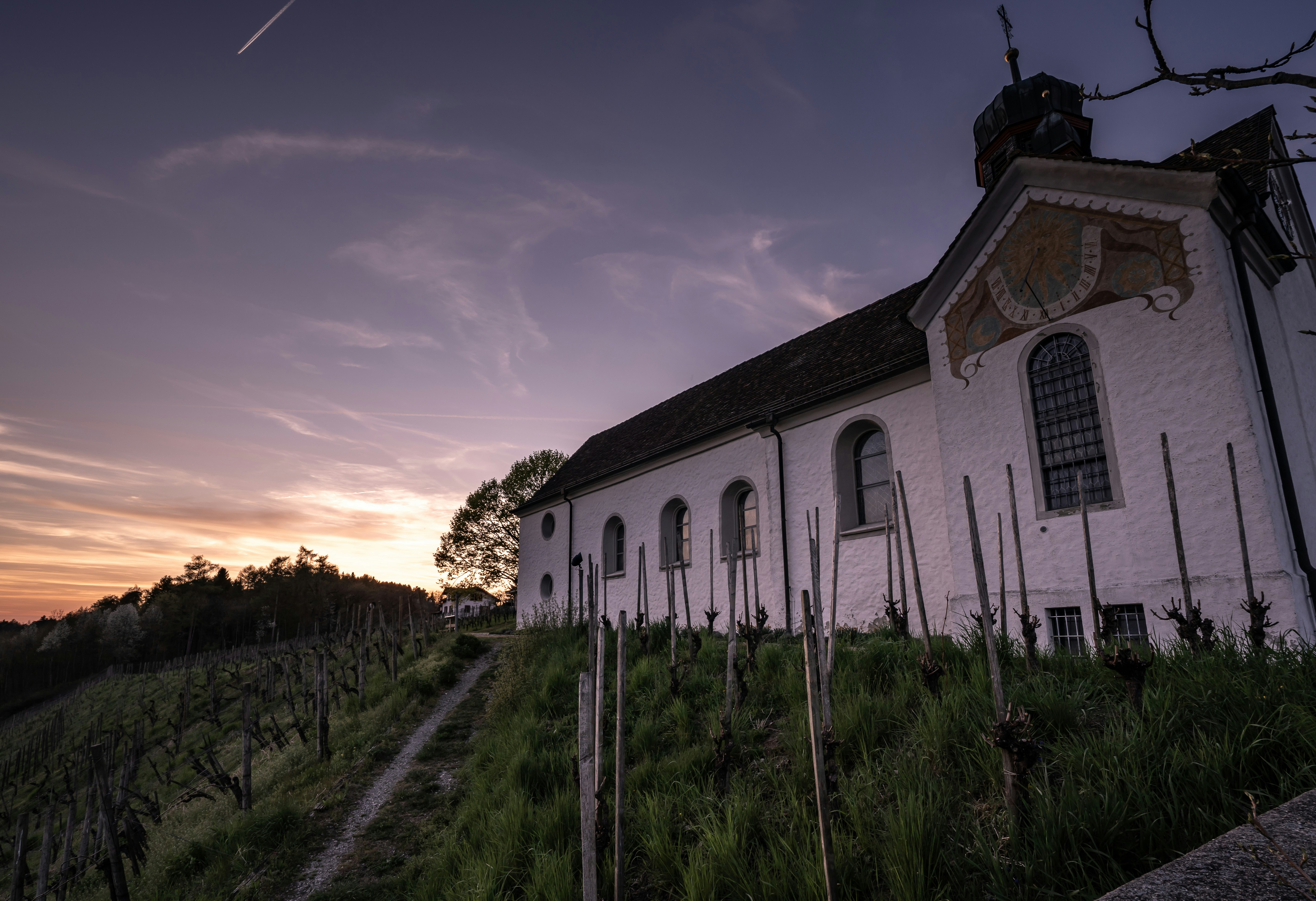 An old church sits on a hill with vines in front of it photo – Free ...