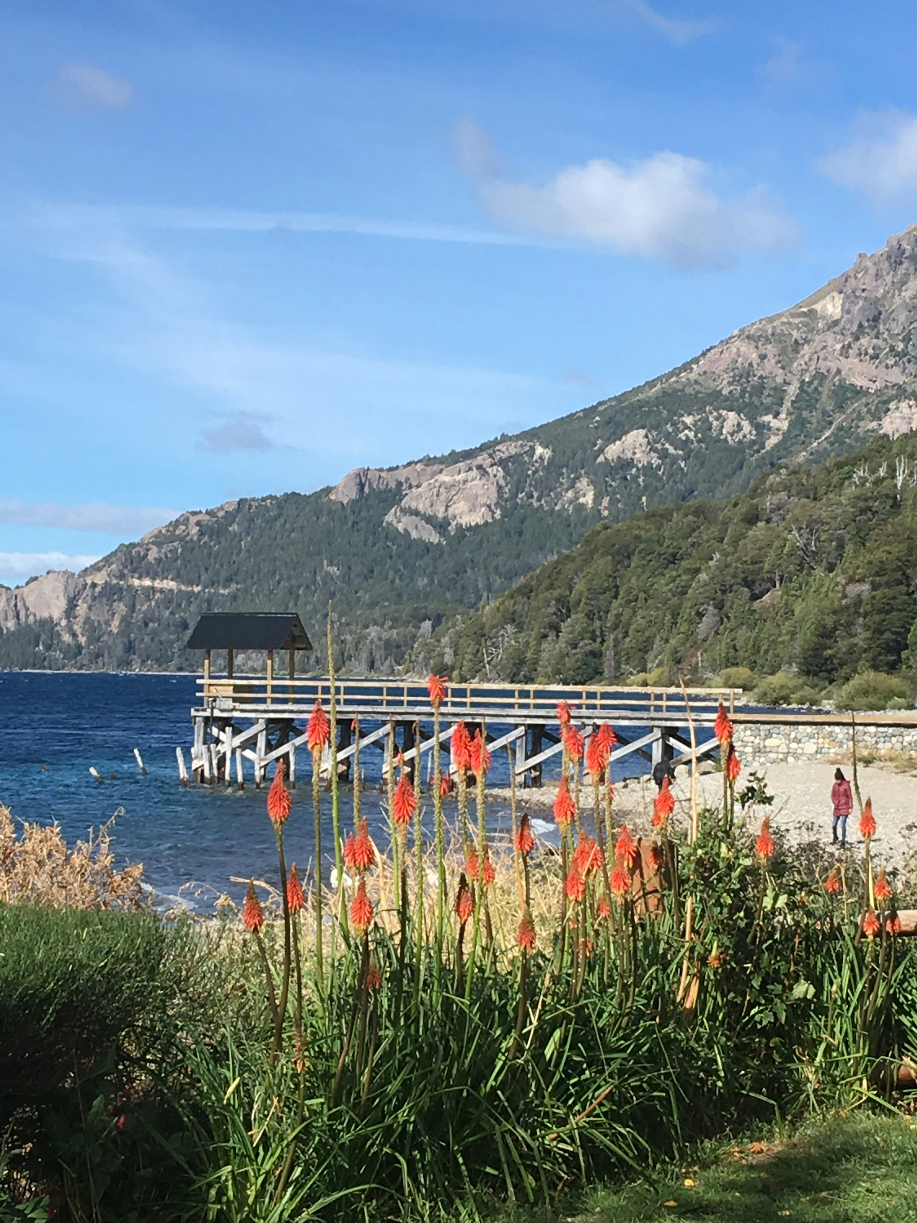 lisboa ind. (@lisboaind) | Communauté photos Unsplash