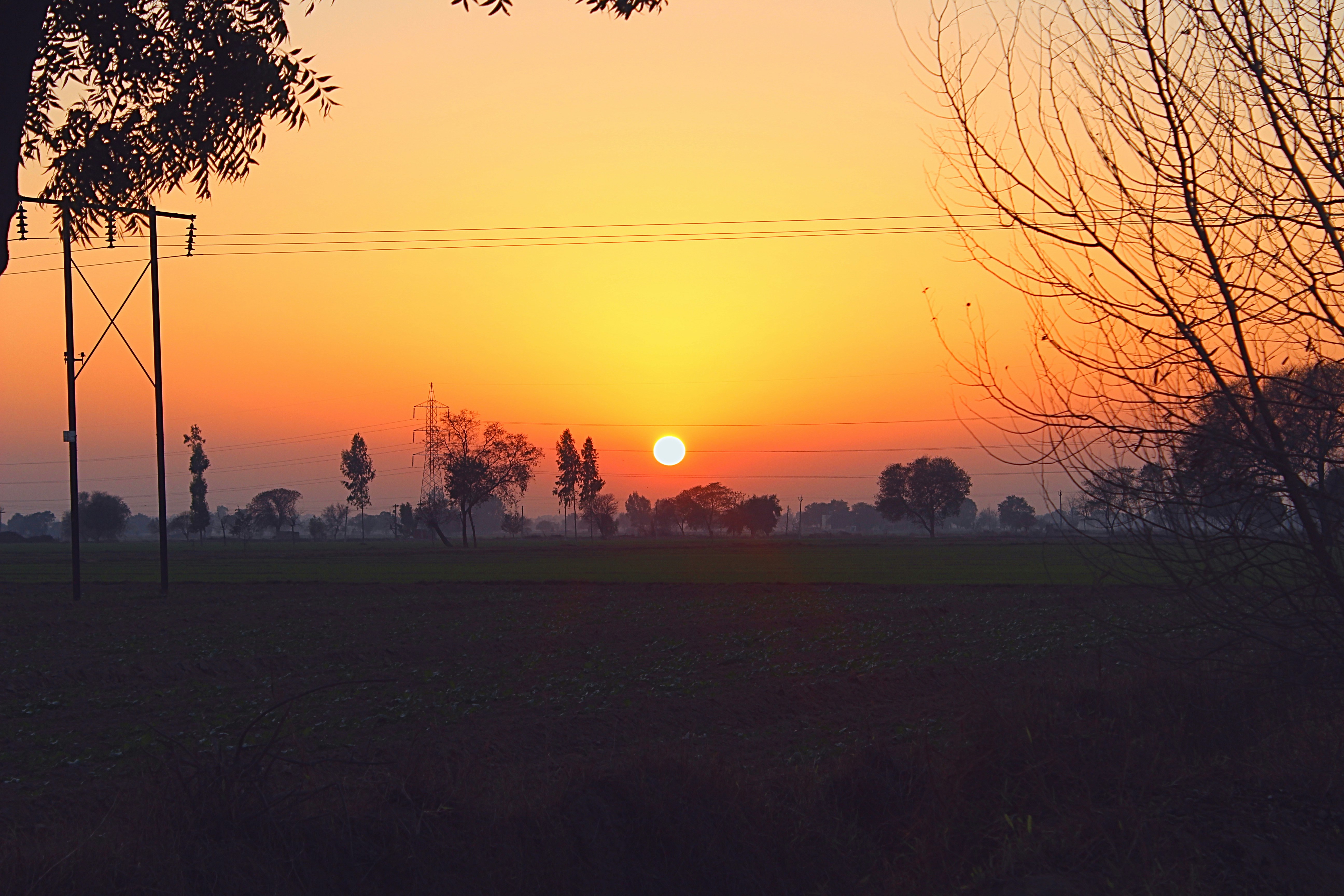 Sukhpreet Lotey (@lenscraftor) | Unsplash Photo Community