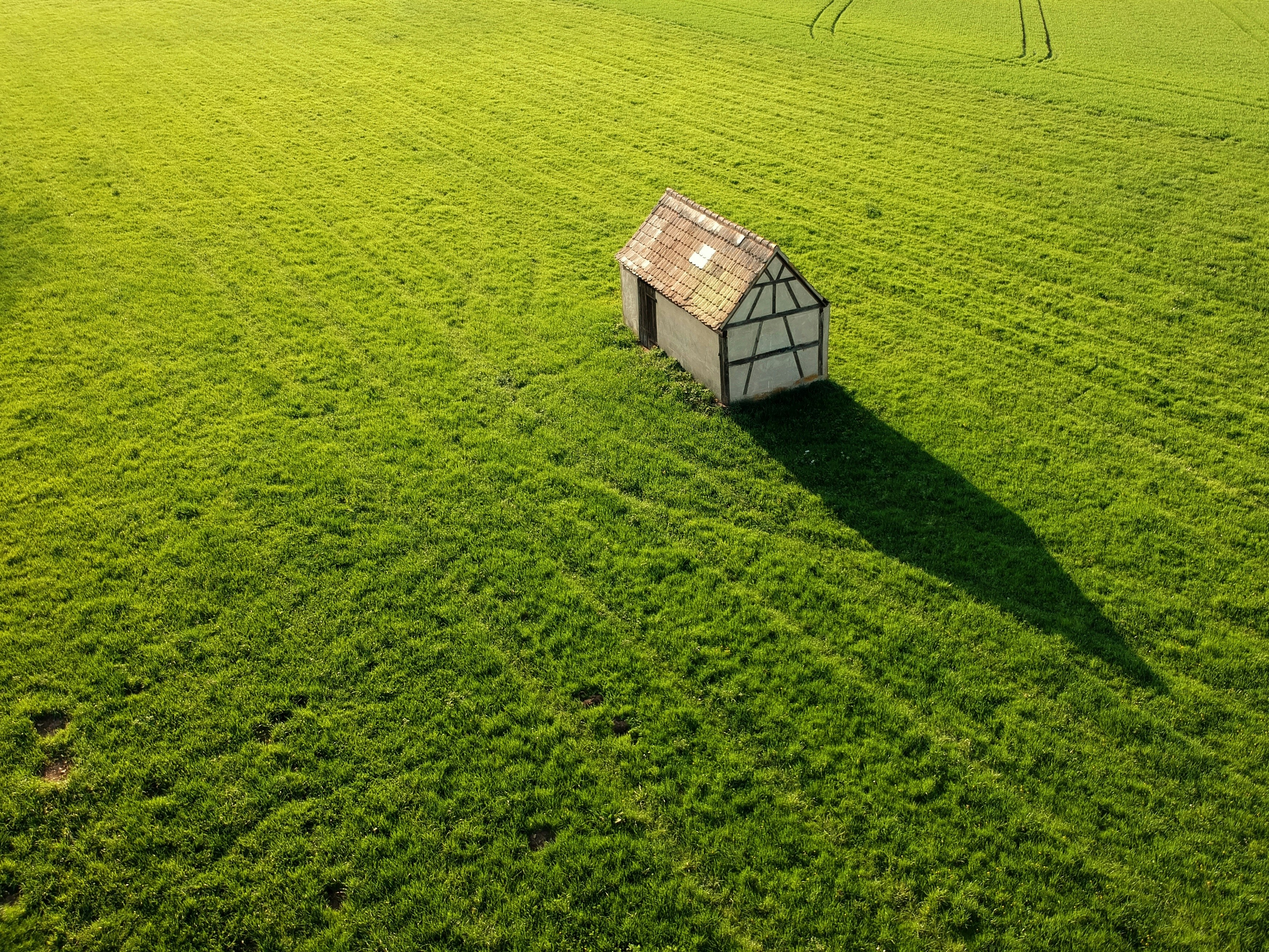 Lone Barn and its Long Shadow over a Verdant Field