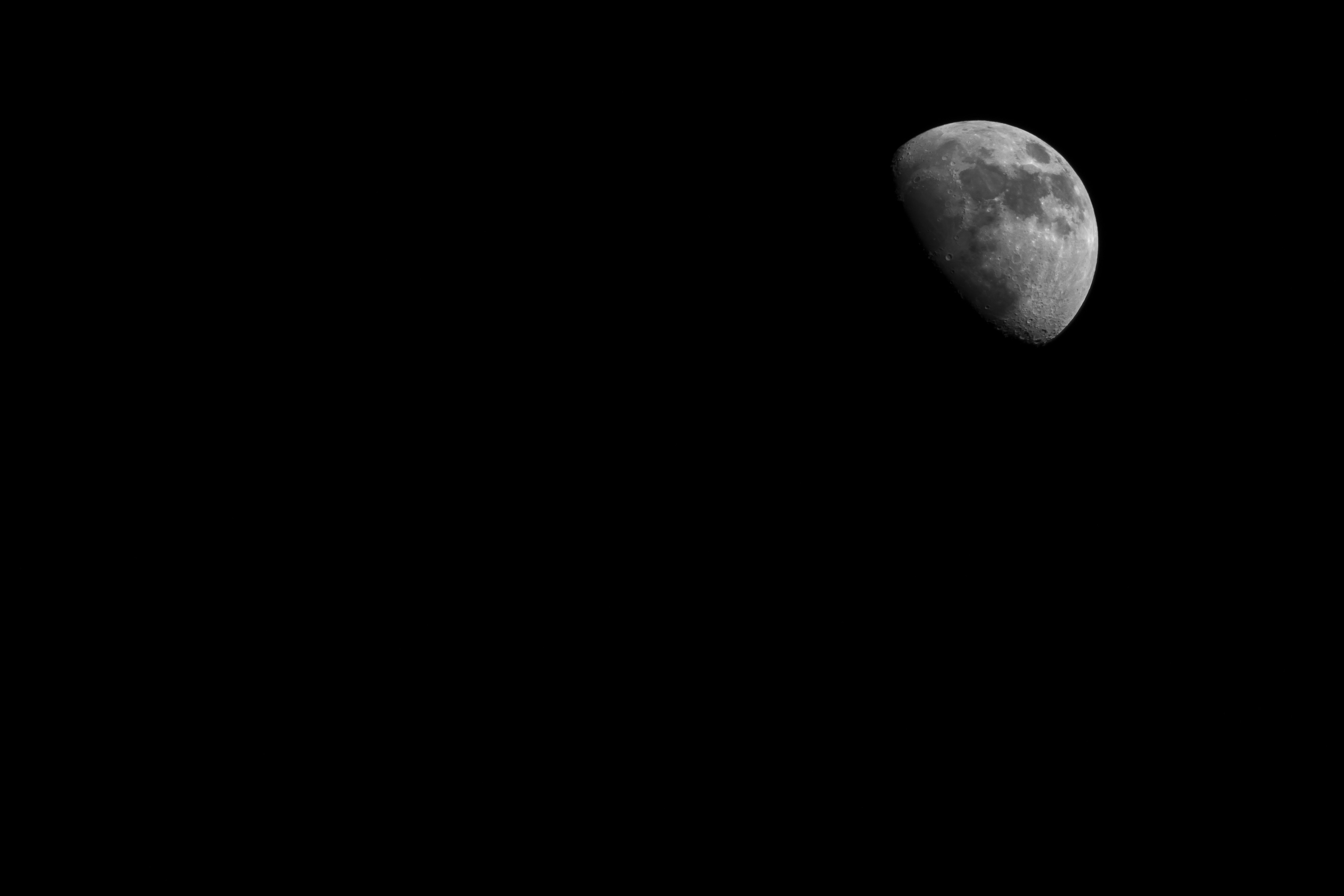 Half-moon illuminated against a dark night sky, showcasing detailed craters and lunar texture.