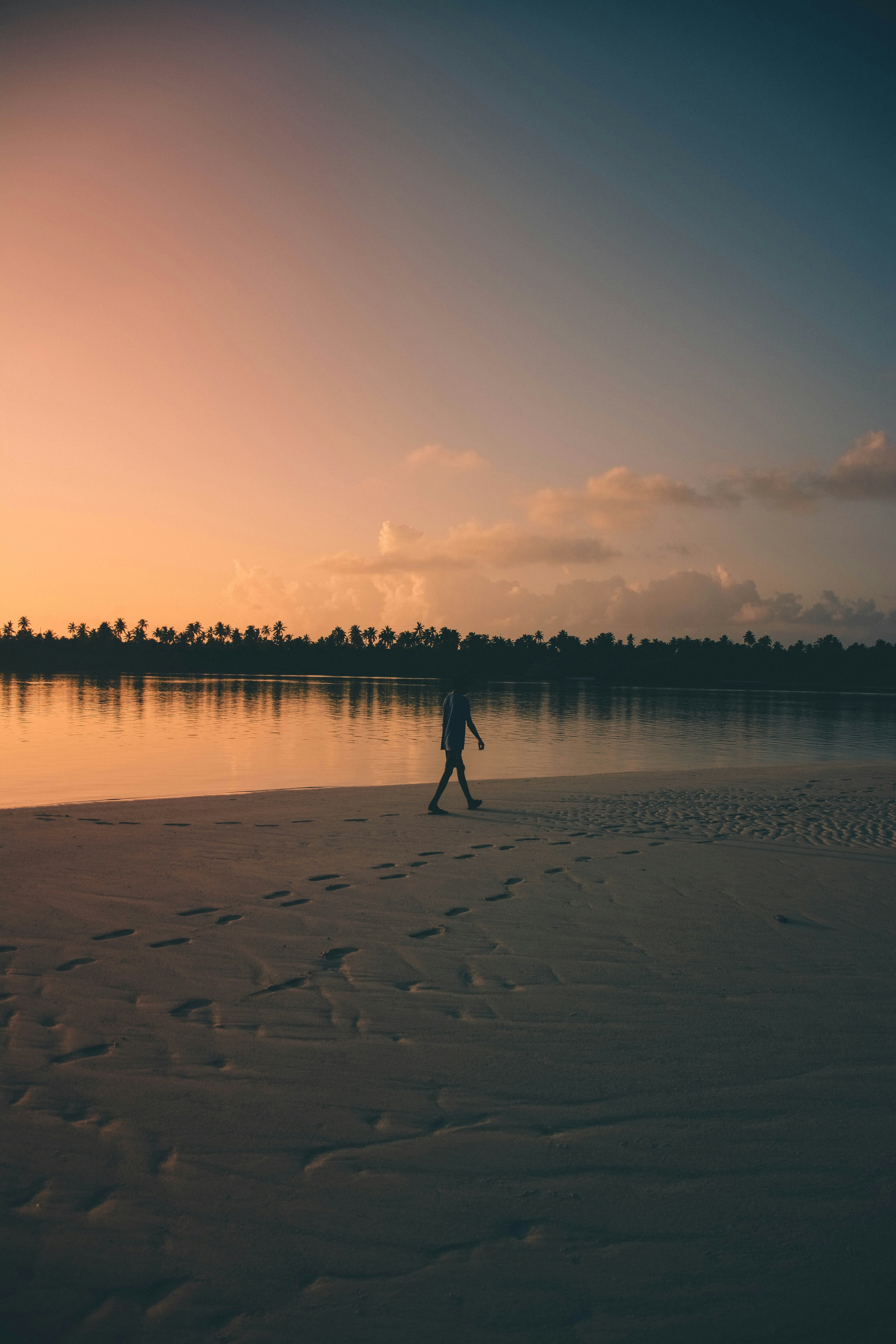 Silhouette of a person walking along a tranquil shoreline at sunset with soft pastel skies.