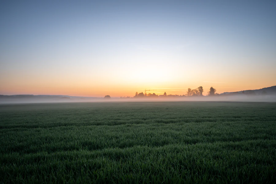 Dawn light glows above a foggy horizon over a dark green field, with silhouettes of trees and distant hills. Soft pastel sky fades from orange near the horizon to blue overhead.