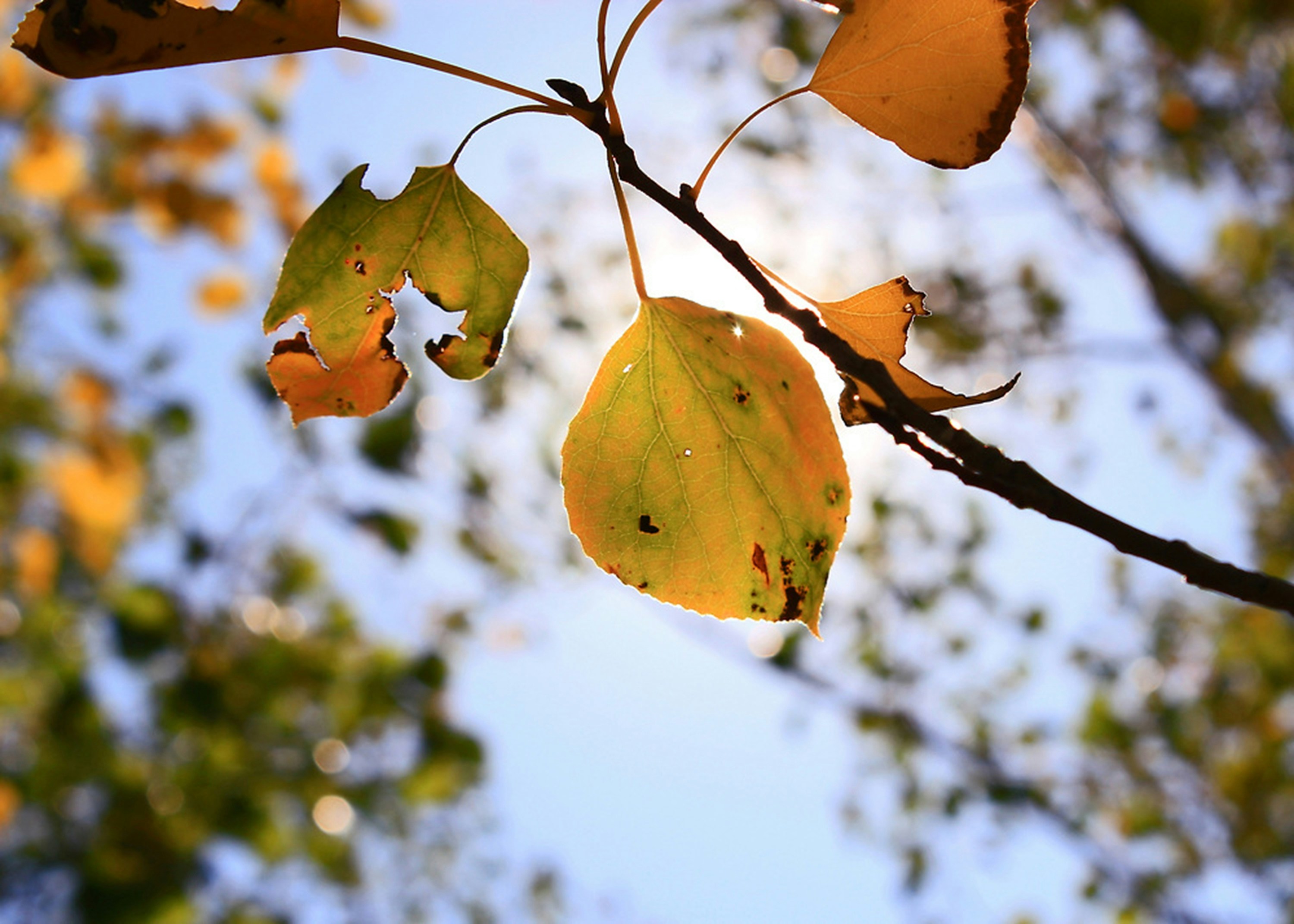 Kristen Davis (@kristenselene) | Komunitas Foto Unsplash