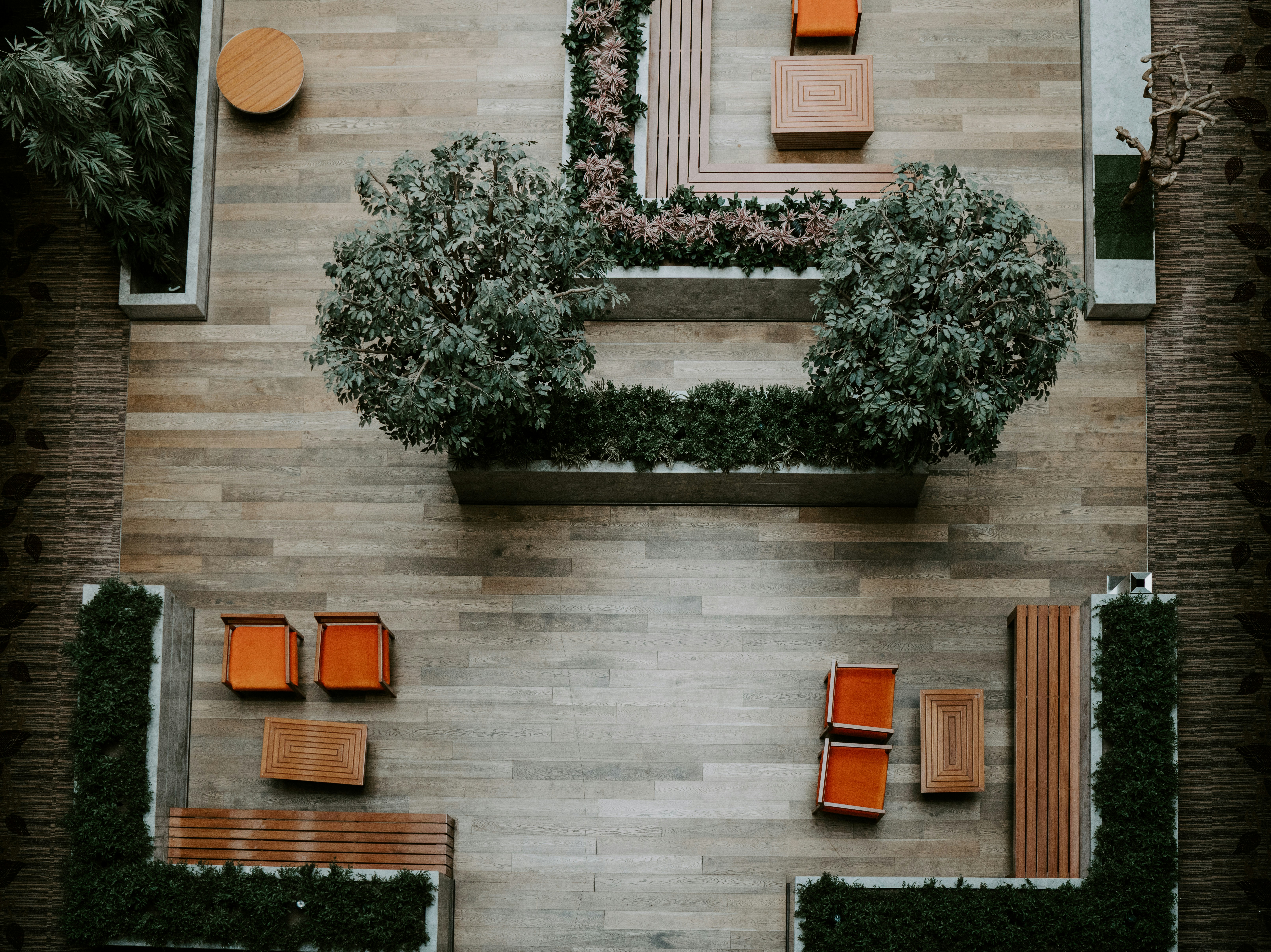 Circular Canopy in a Rooftop Courtyard: Green Focal Point Amid Wood and Orange Cushions