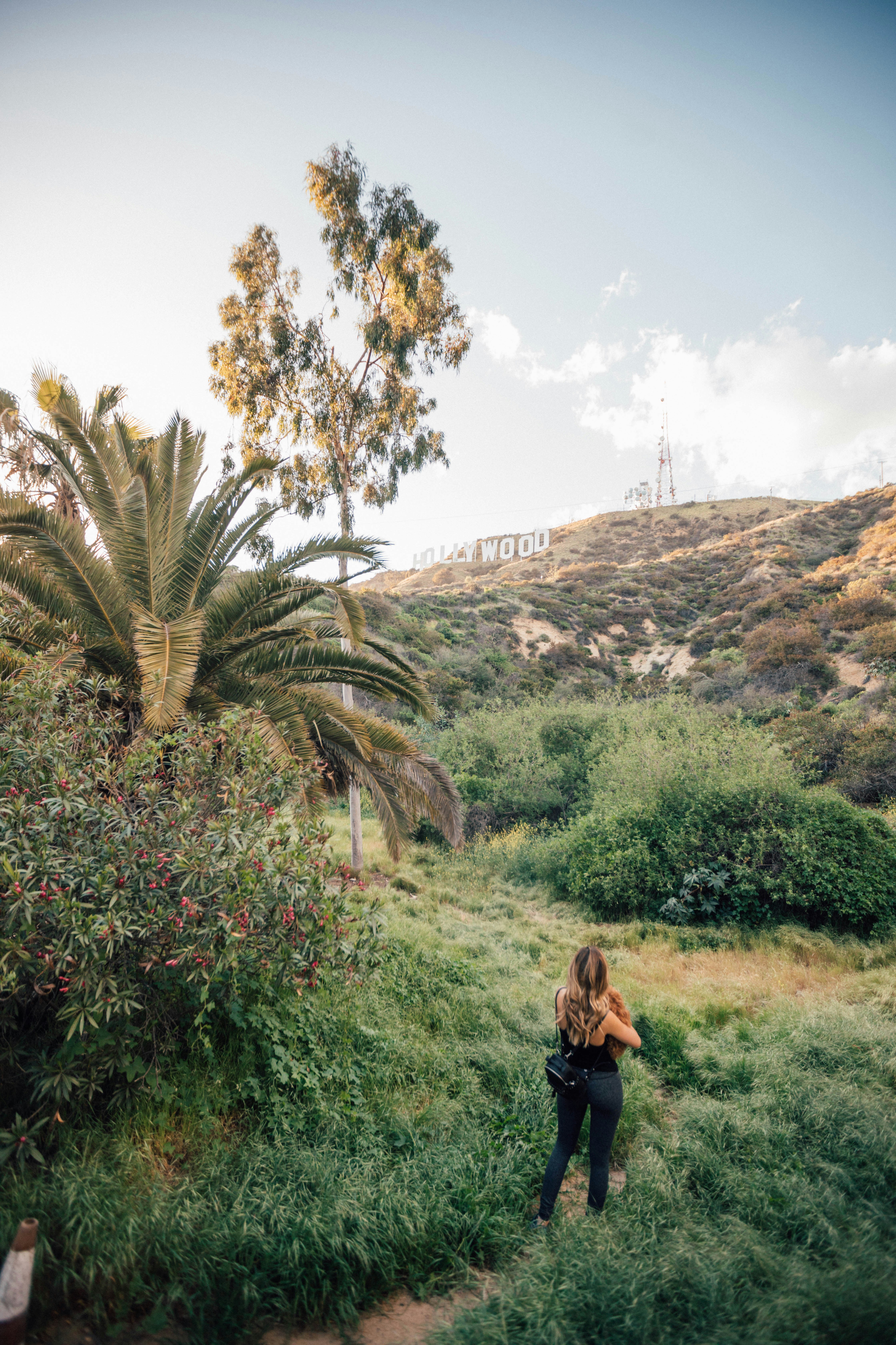 If you find my photos useful, please consider subscribing to me on YouTube for the occasional photography tutorial and much more - https://bit.ly/3smVlKp - I'd greatly appreciate it! | woman looking at the Hollywood signage during day time