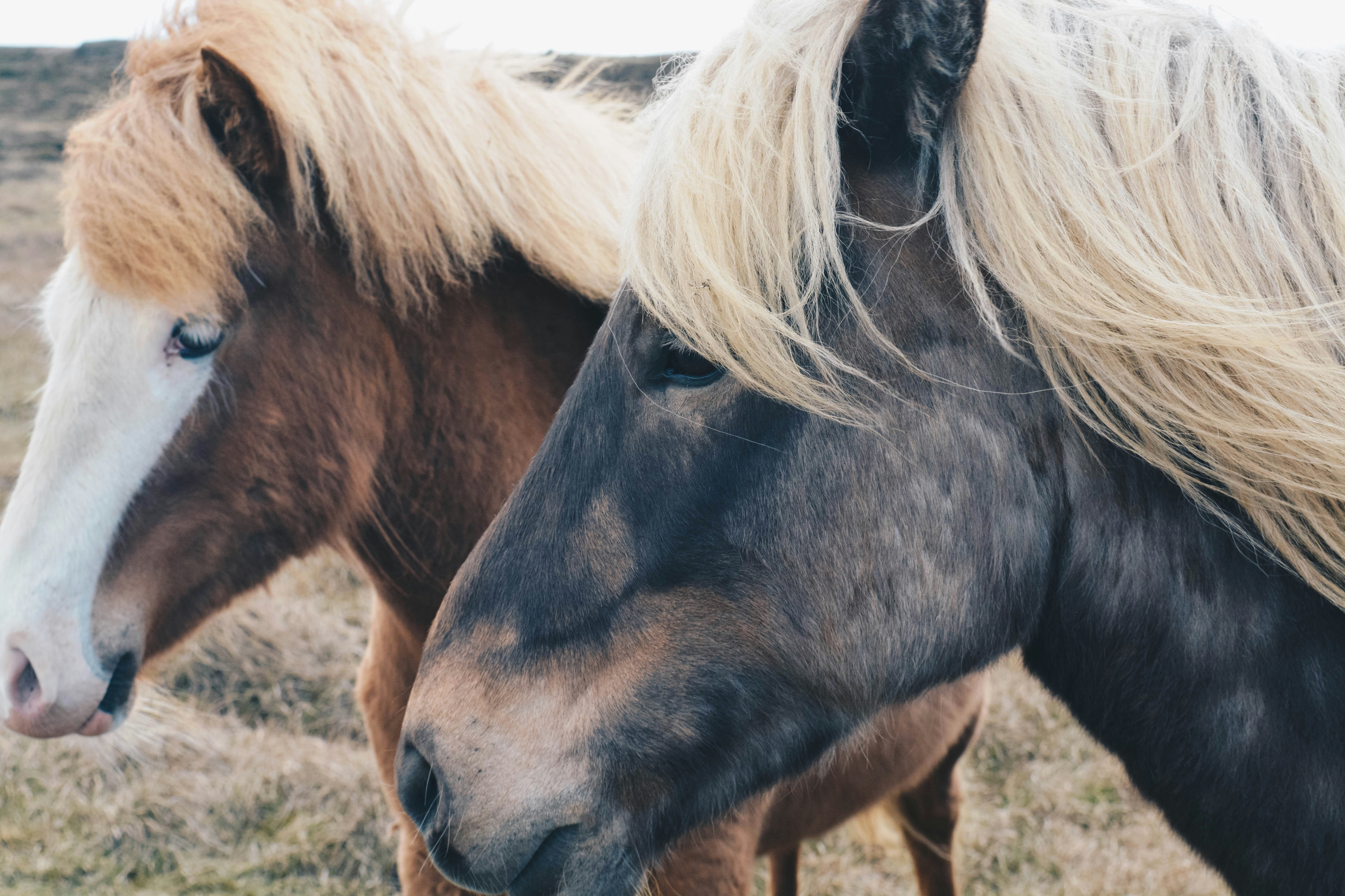 Casey Callahan (@caseyskylar) | Communauté photos Unsplash