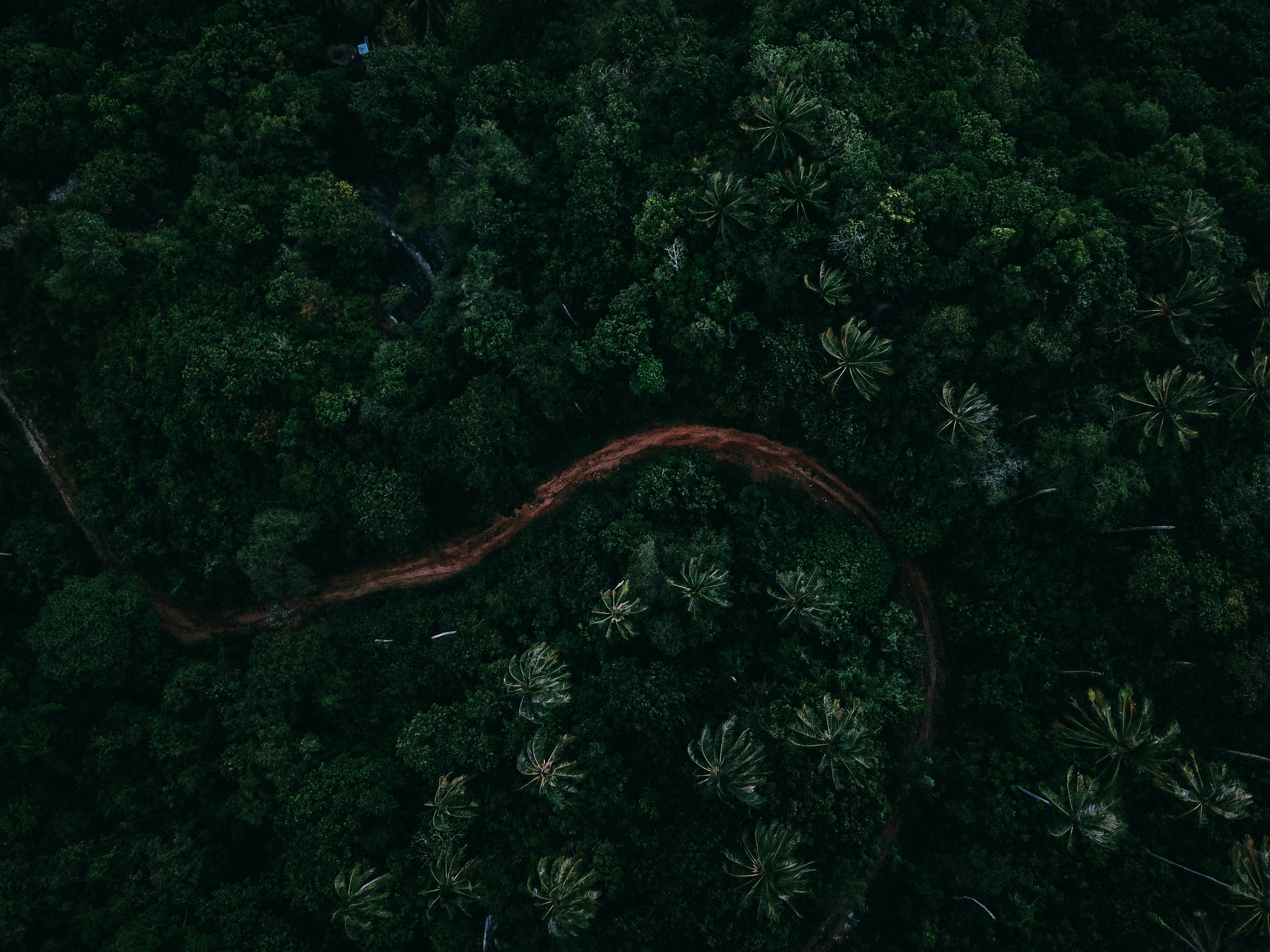 Winding red path cutting through dense green forest from a high aerial perspective.