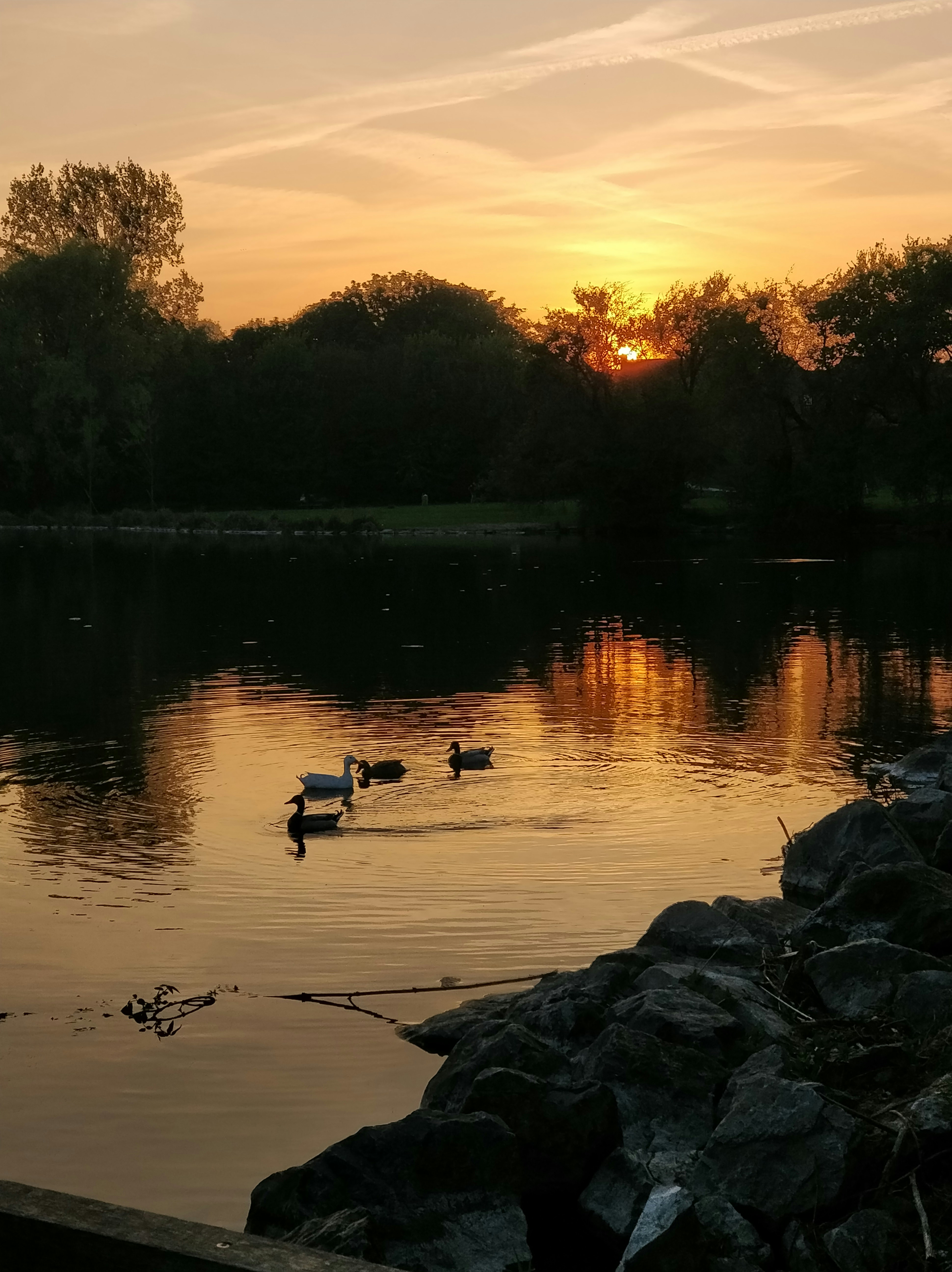 Théophile Ub (@theophileub) | Unsplash Photo Community