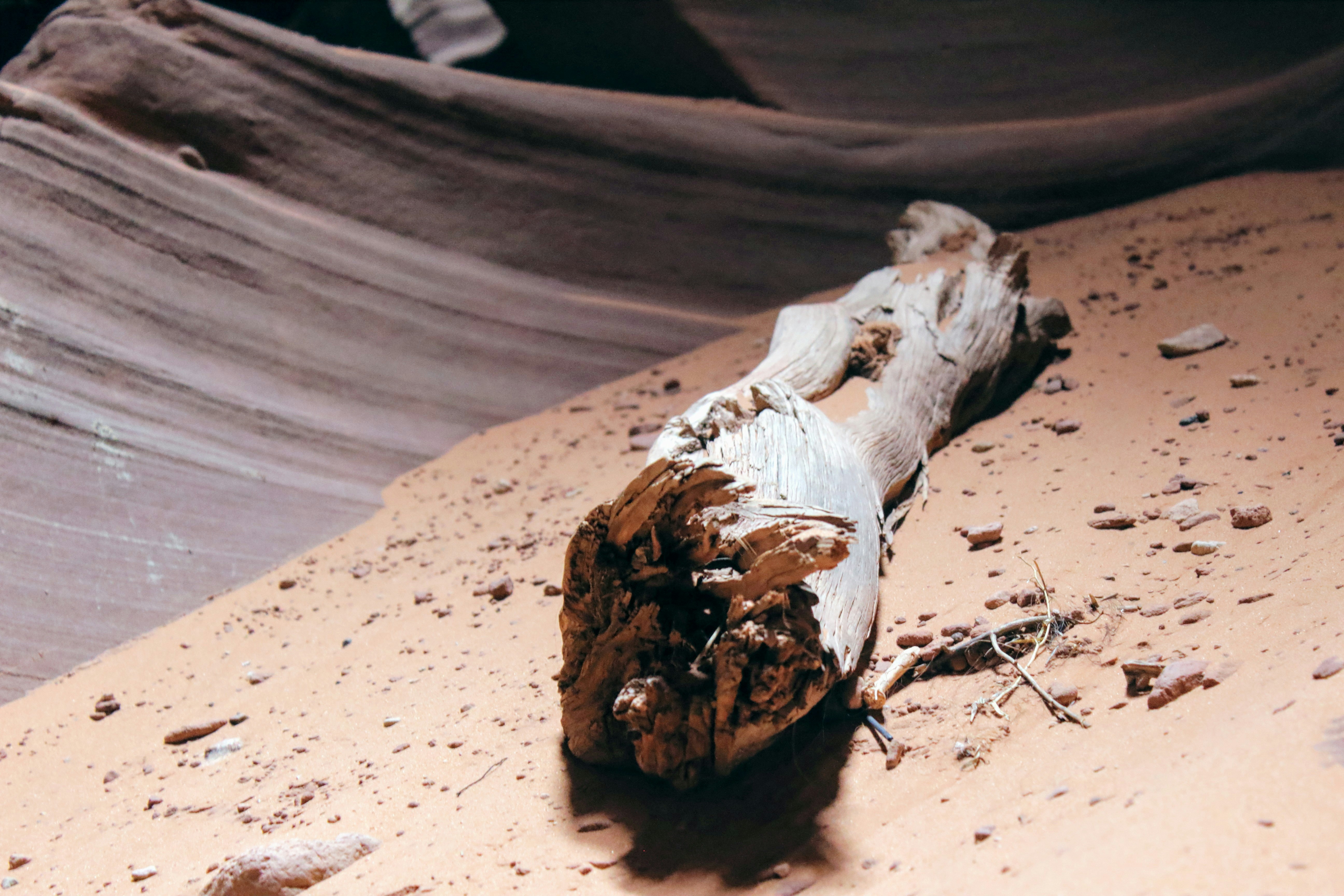 Anthony Ciccarello (@aciccarello) | Unsplash Photo Community