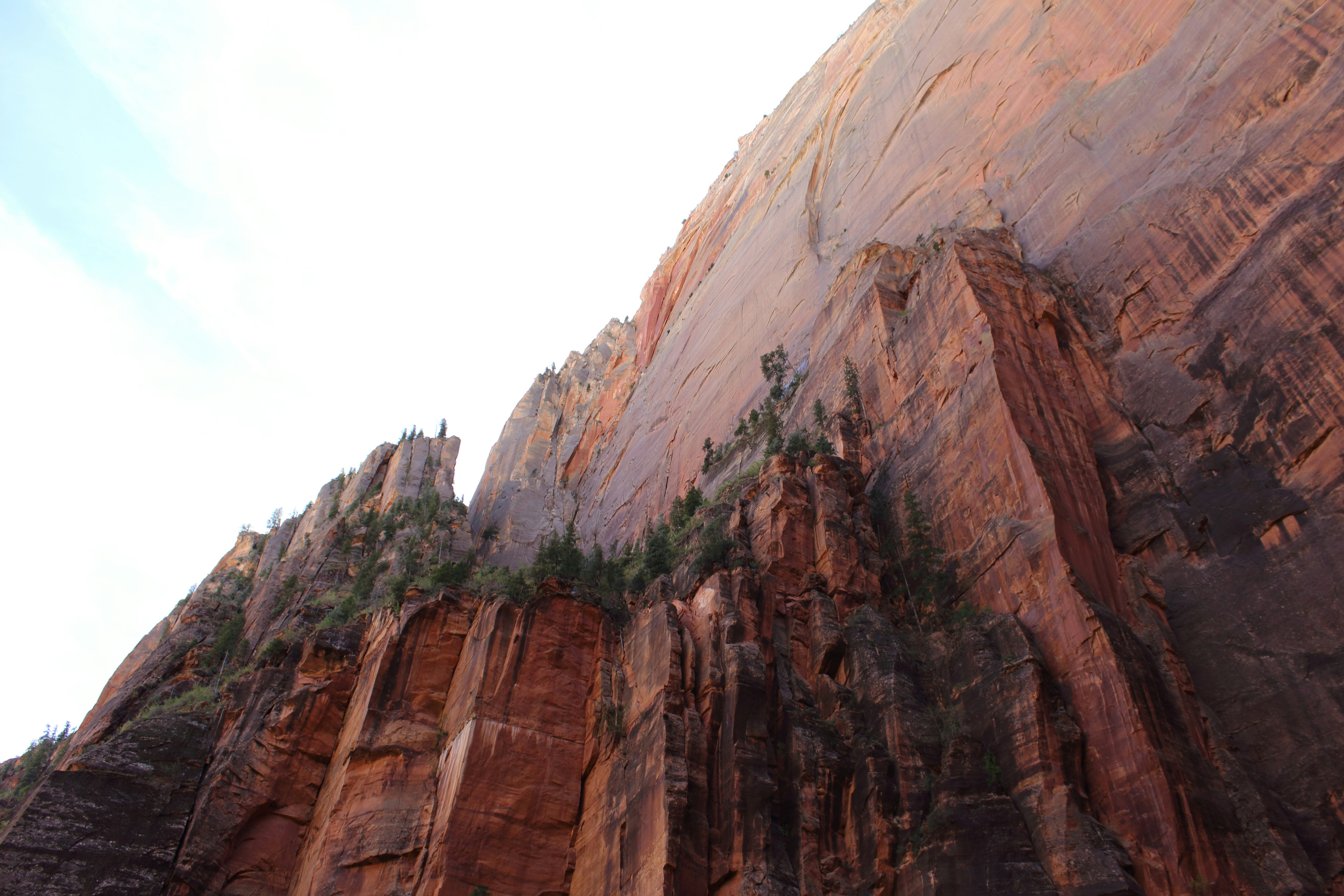 Anthony Ciccarello (@aciccarello) | Unsplash Photo Community