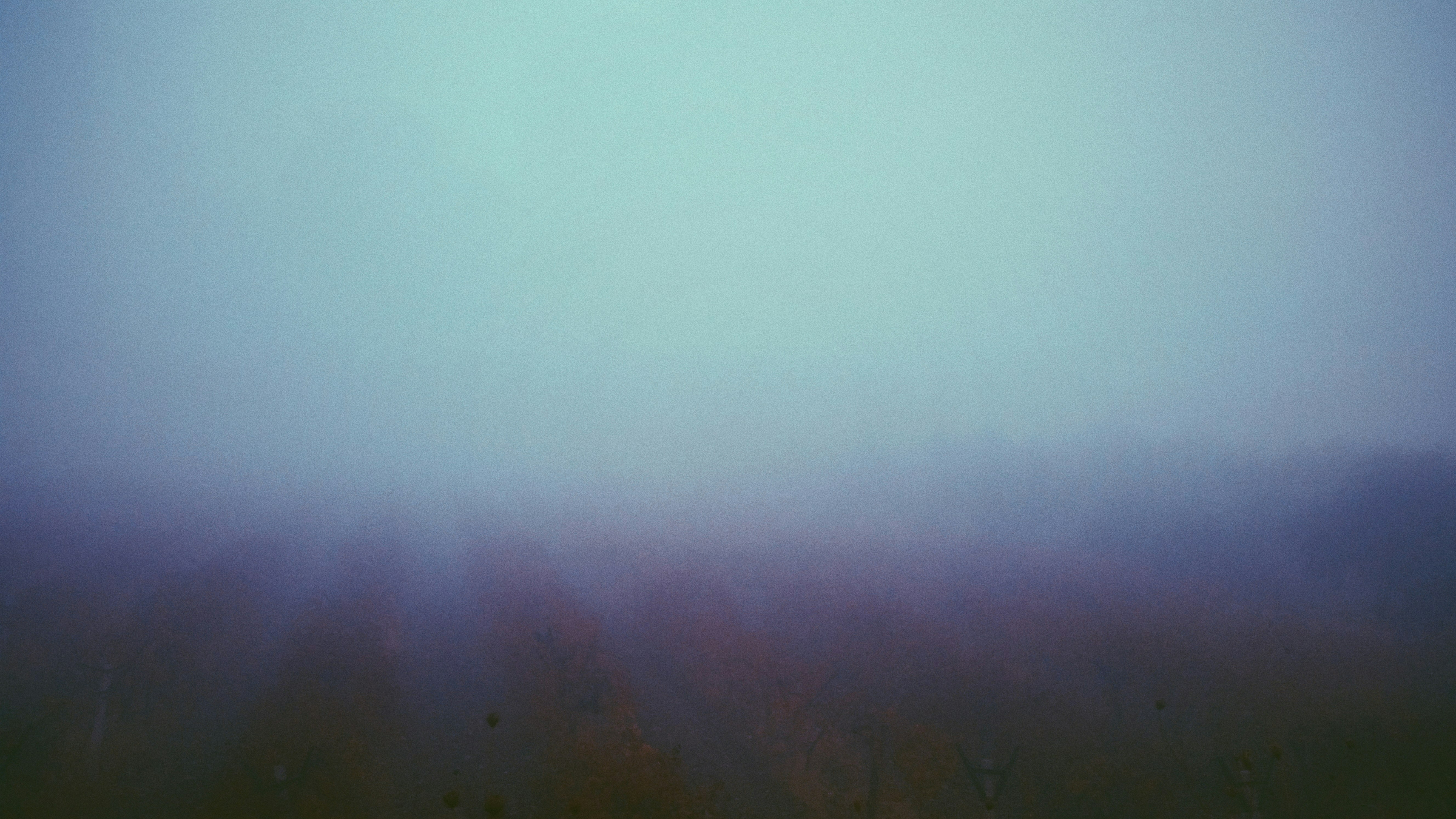 Ethereal Dawn in Misty FieldsMuhammed Kara