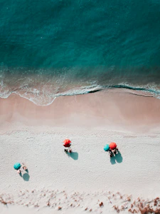 Umbrellas on a Quiet Shore