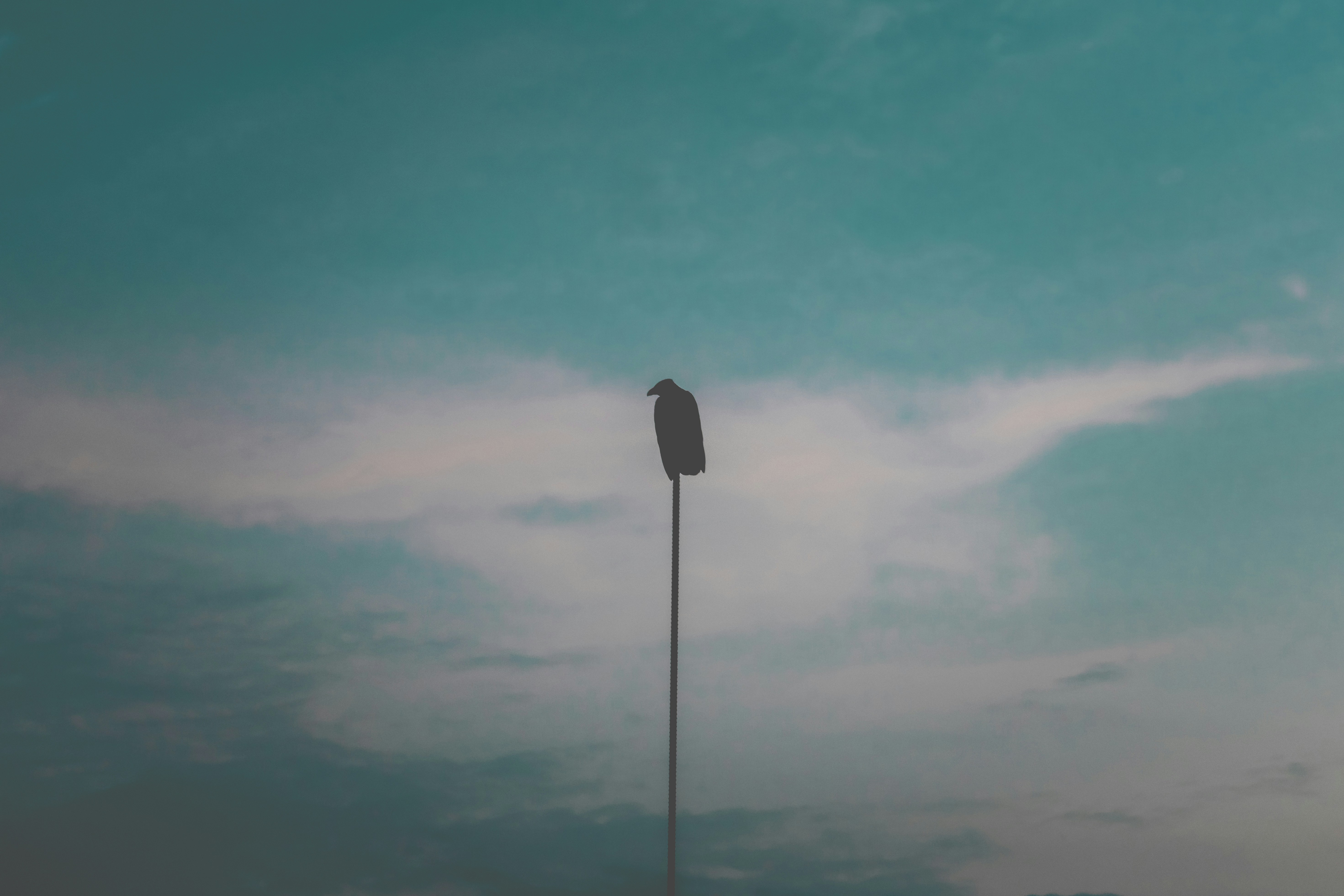 Solaiman Hossen (@sh_sumon) | Unsplash Photo Community