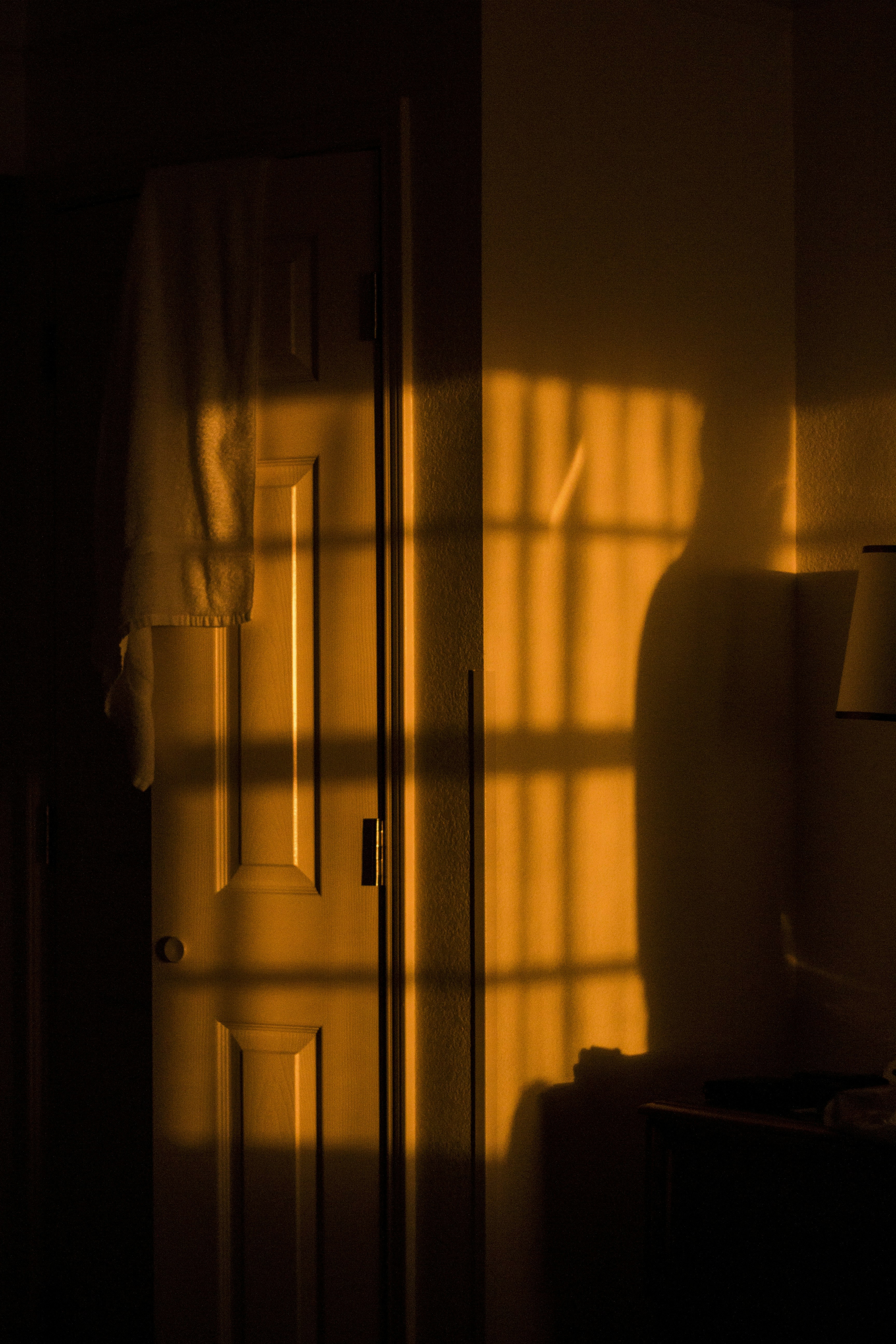 Alex Jones (@alexjones) | Unsplash Photo Community