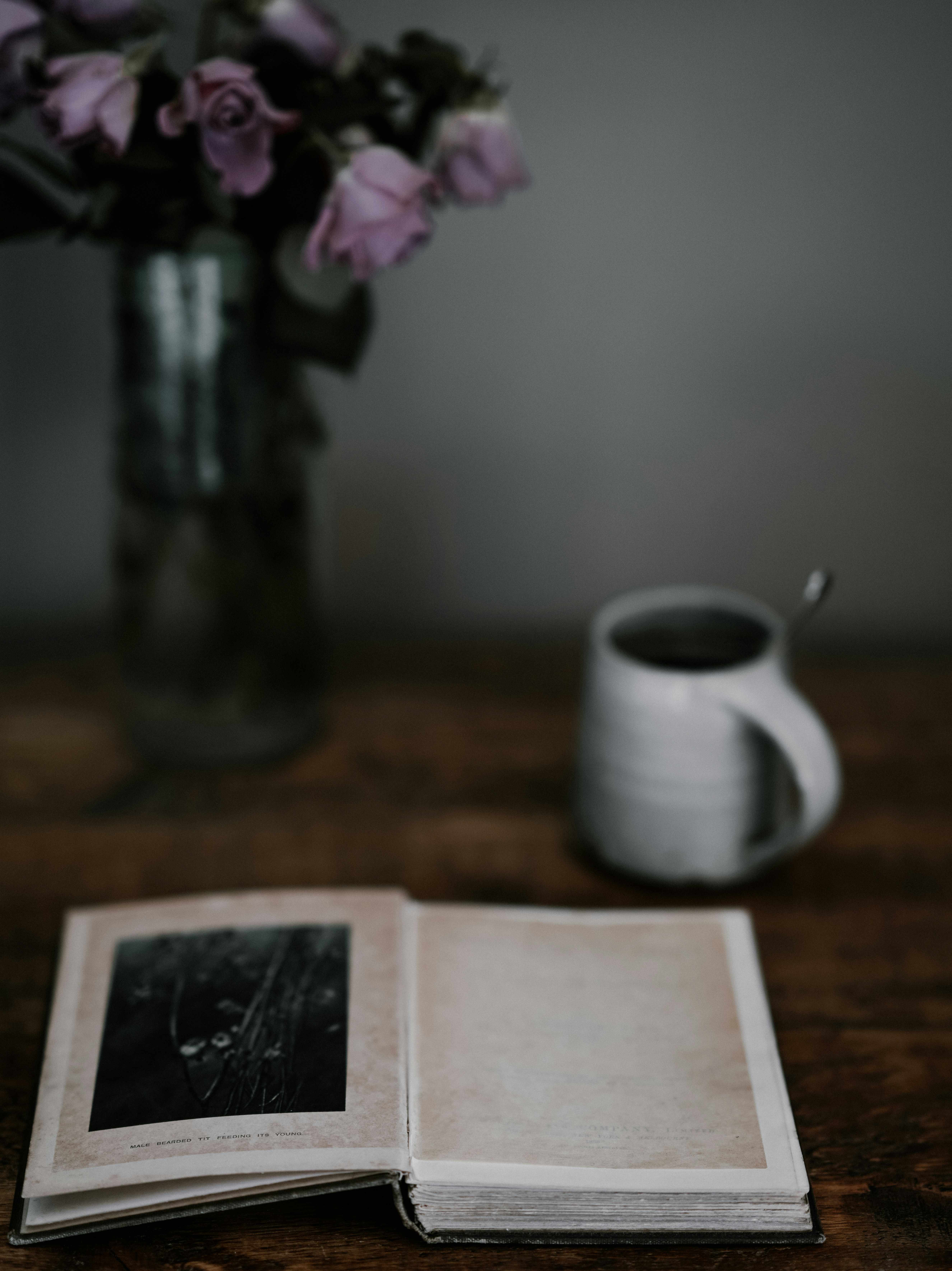 Phnom Bok Photos | Télécharger des images gratuites sur Unsplash