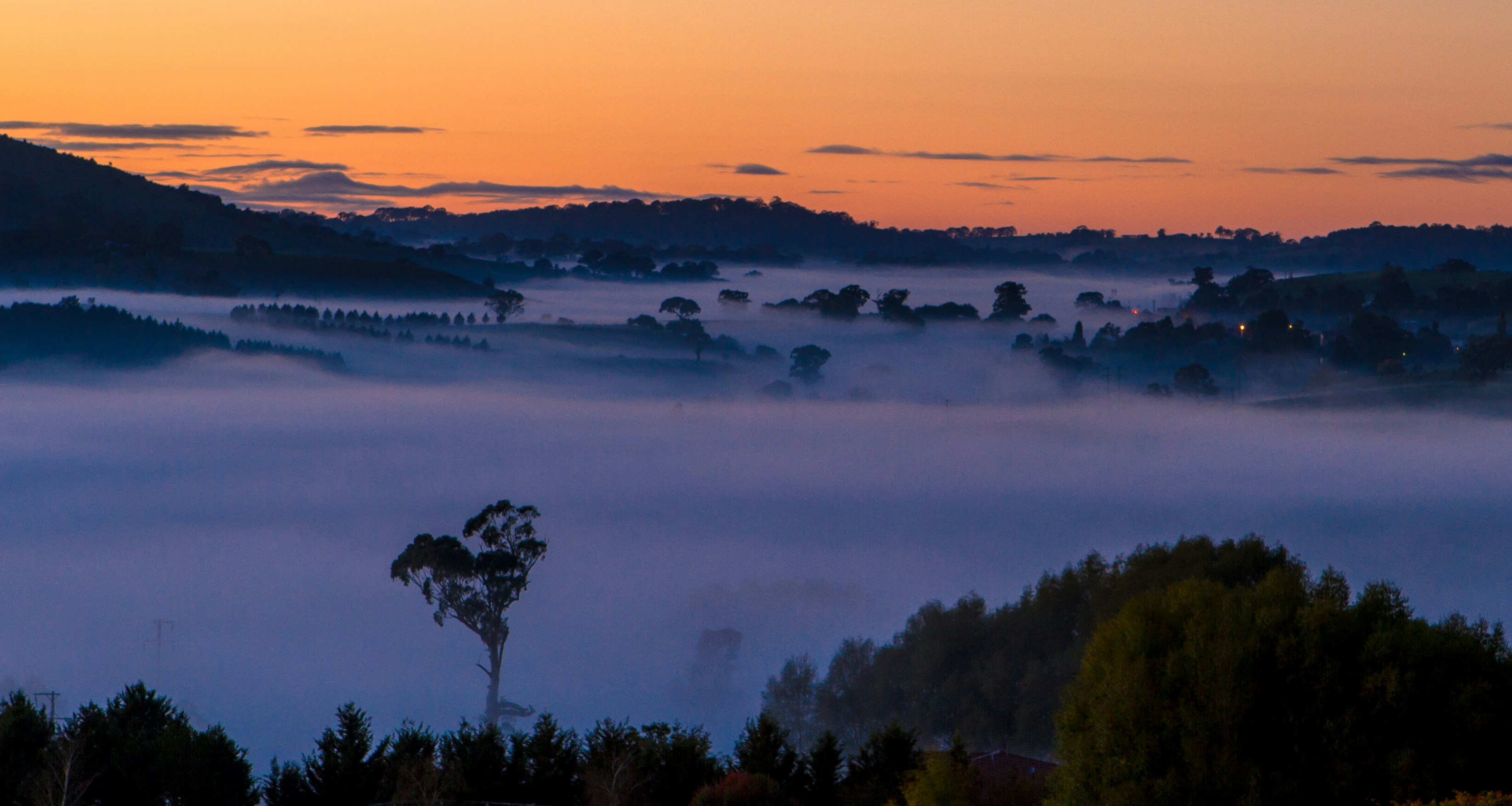 A serene landscape enveloped in morning fog, revealing a lone tree amidst rolling hills as the sun rises. Soft colors blend in the sky, hinting at a new day.
