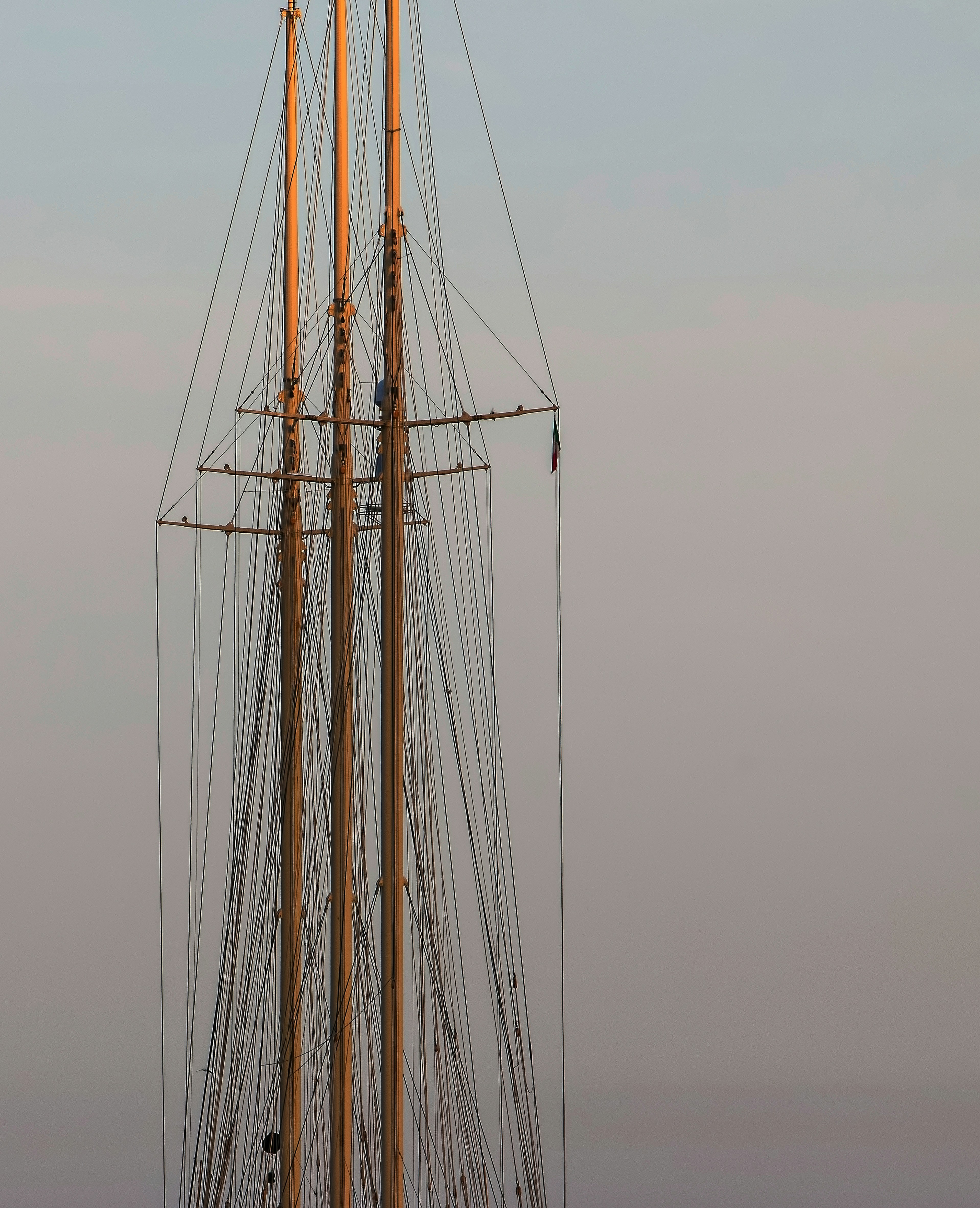 Gray posts photo – Free Mast Image on Unsplash