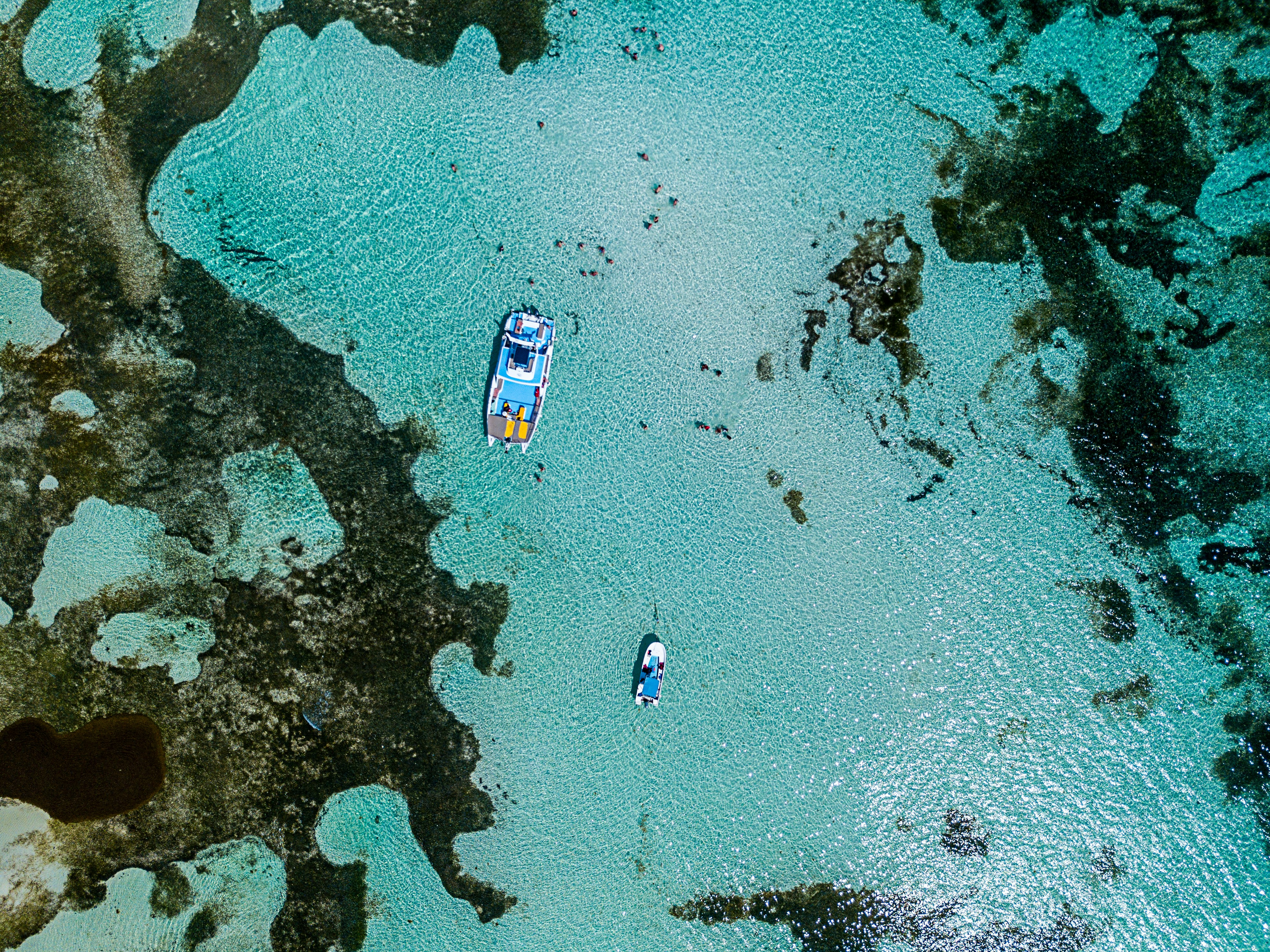 Ocean Floor Pictures | Download Free Images on Unsplash