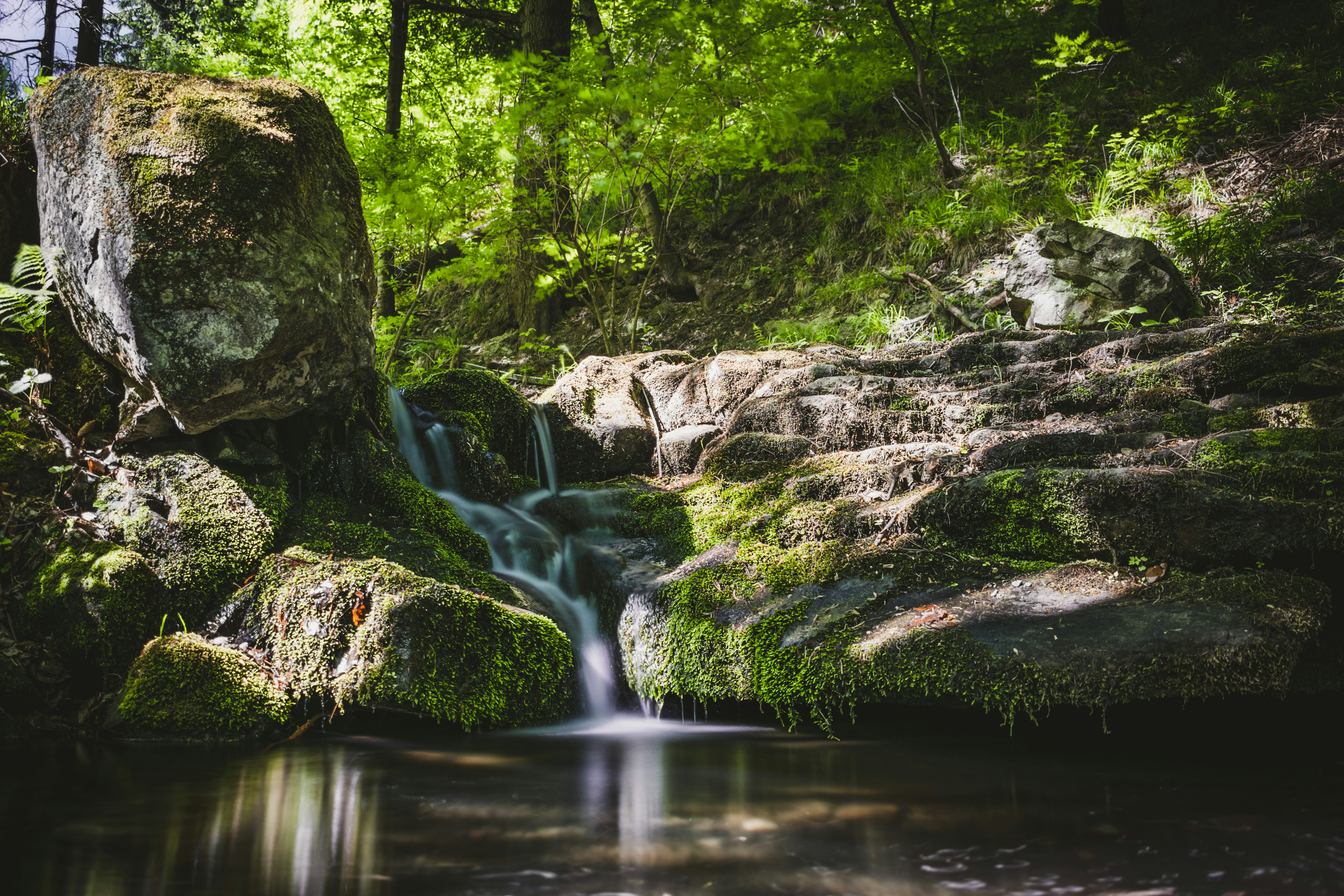 Small waterfall cascading over moss-covered rocks in a lush forest.