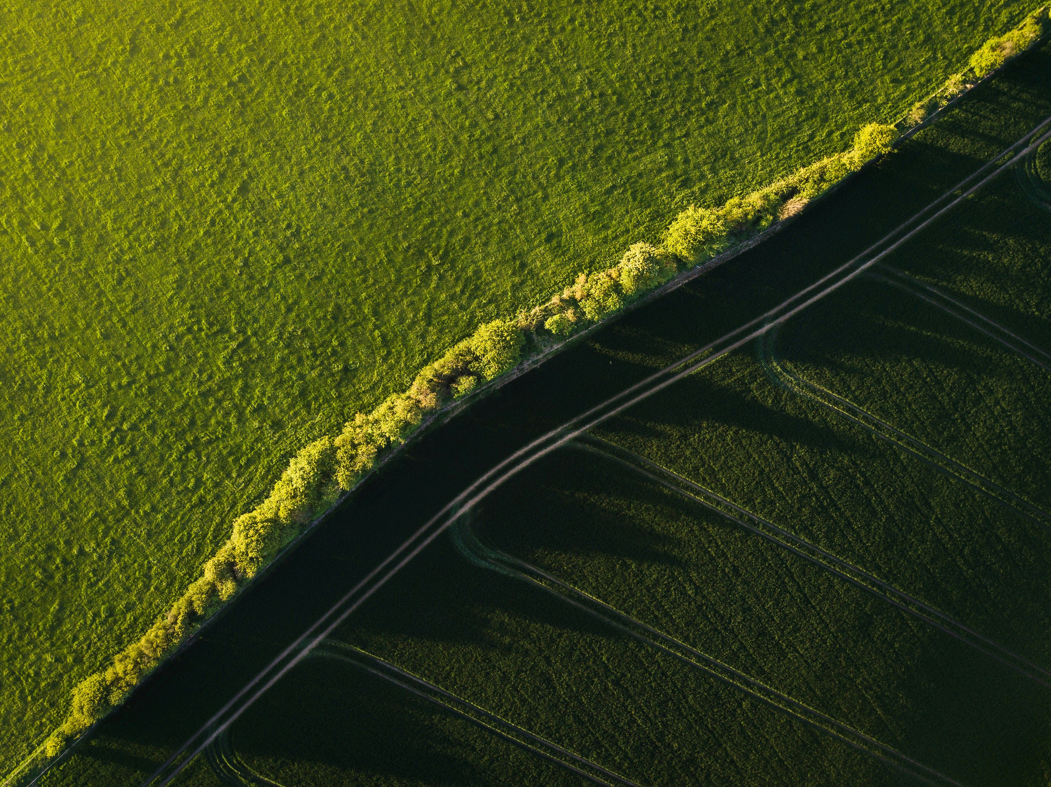 Bird's eye view photo of green grass field photo – Free Grass Image on ...