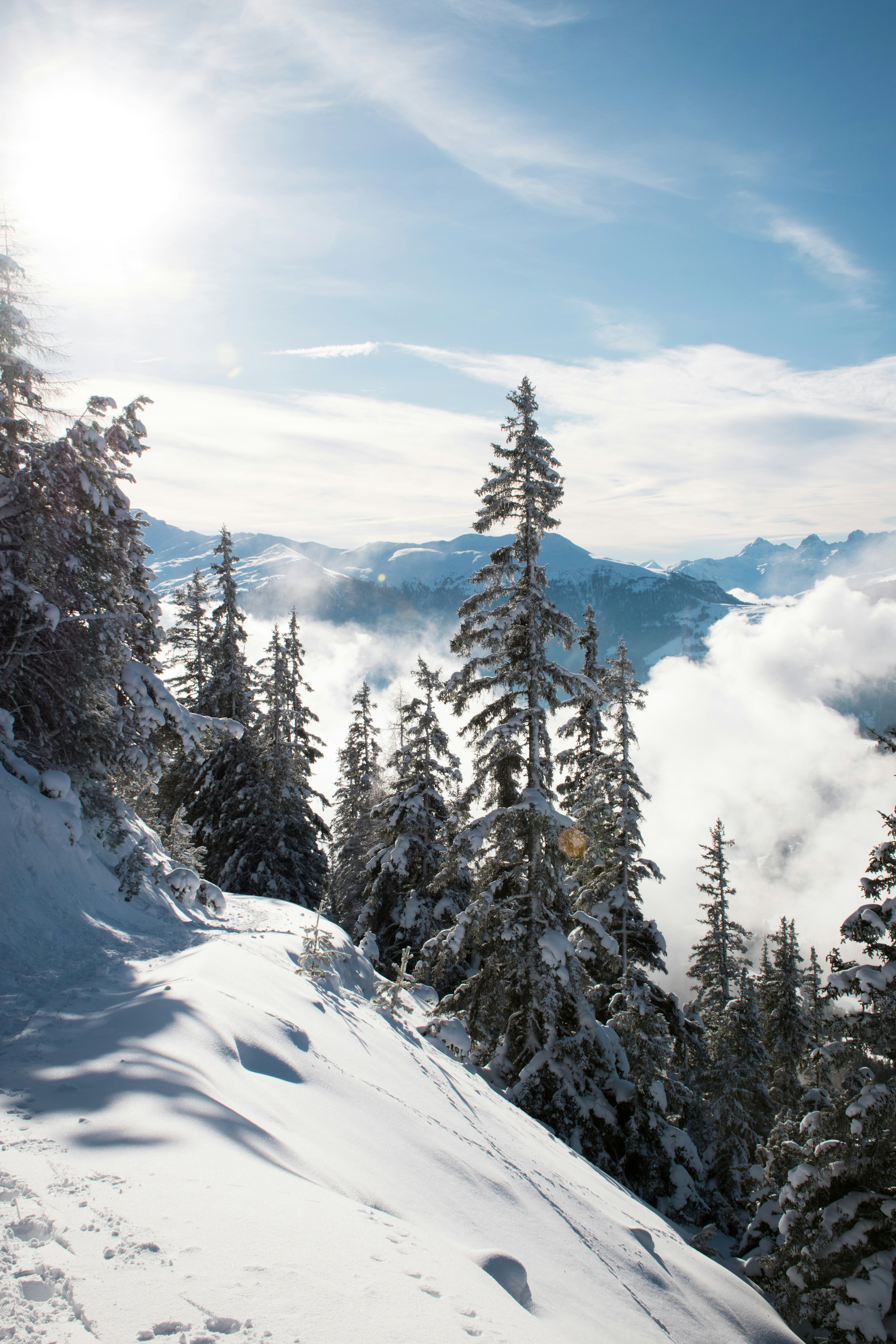 Snow-covered trail winding through tall evergreens, with majestic mountains peeking through a blanket of clouds. Bright sunlight illuminates the scene.